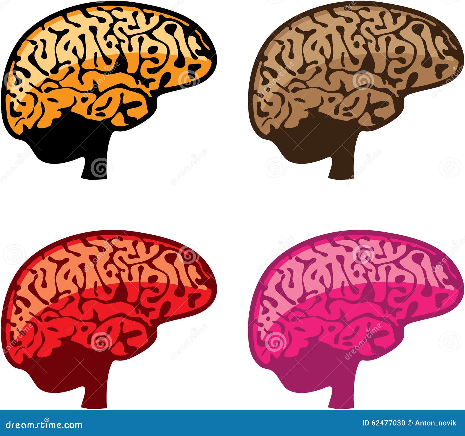 Brain Vector eps stock vector. Illustration of cerebral - 62477030