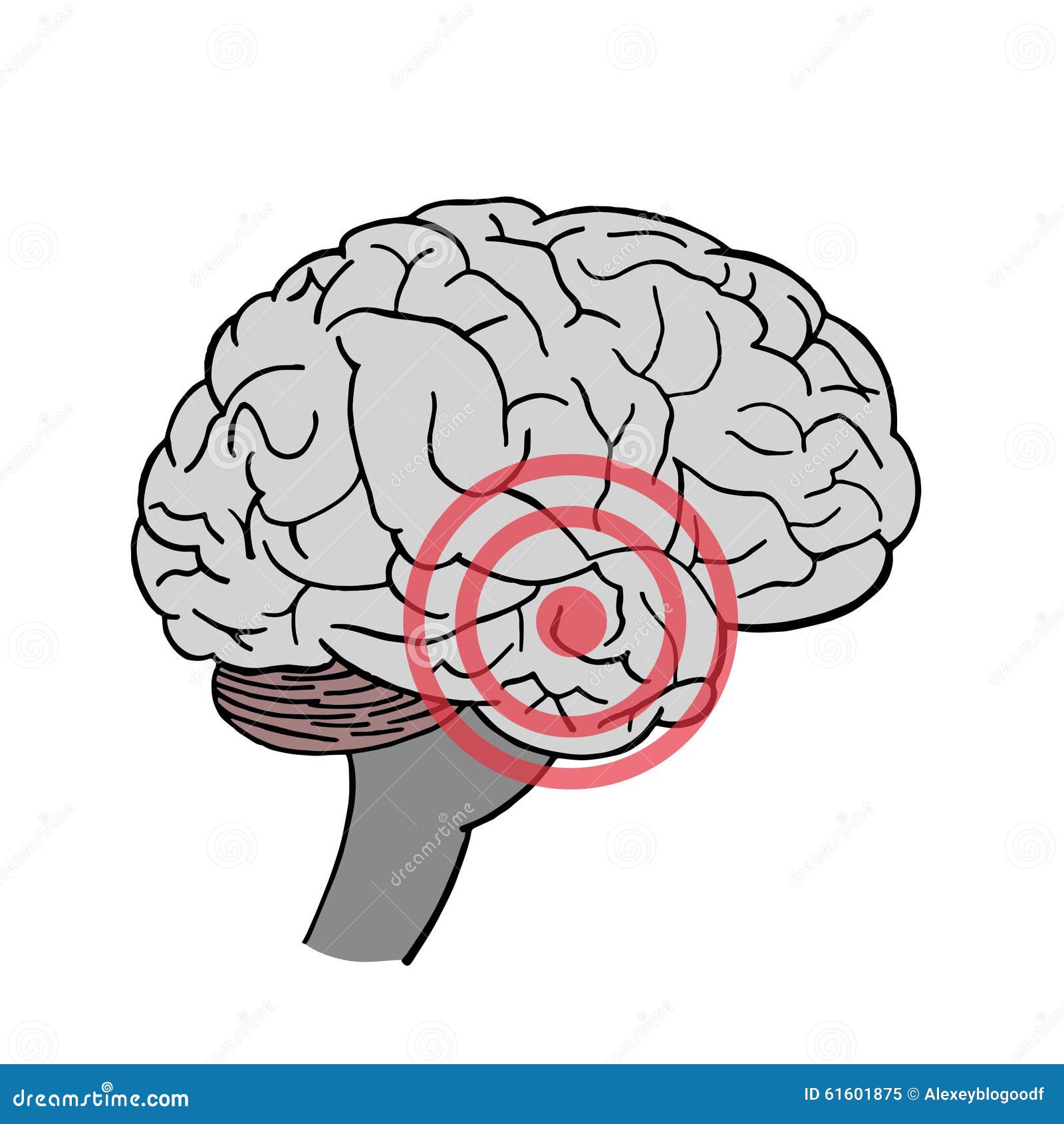Brain in vector. Headache stock vector. Illustration of nervous - 61601875