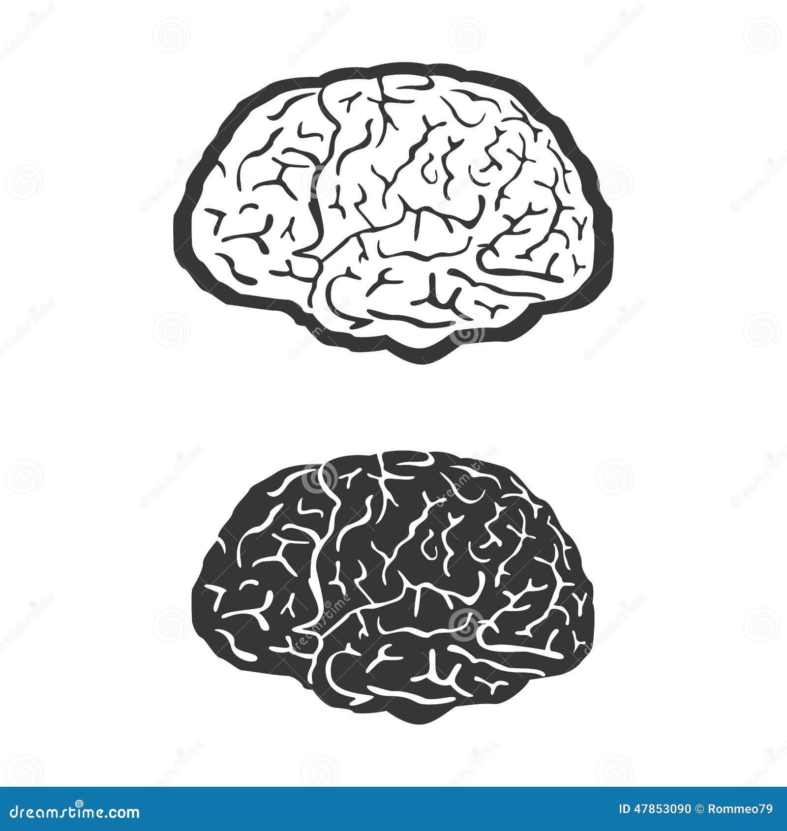 Brain, Vector, Human, Symbol, Medicine, Think, Icon, Stock Vector ...