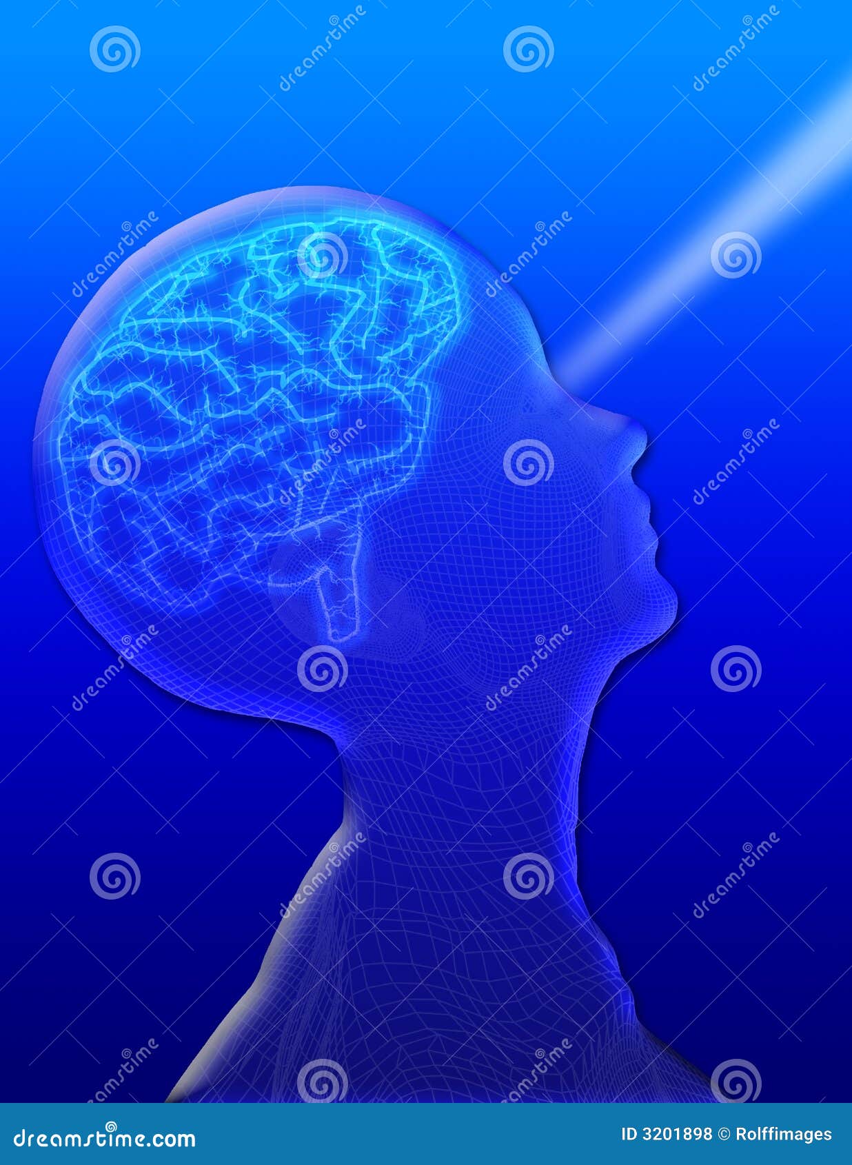 Brain Vision stock illustration. Illustration of model - 3201898