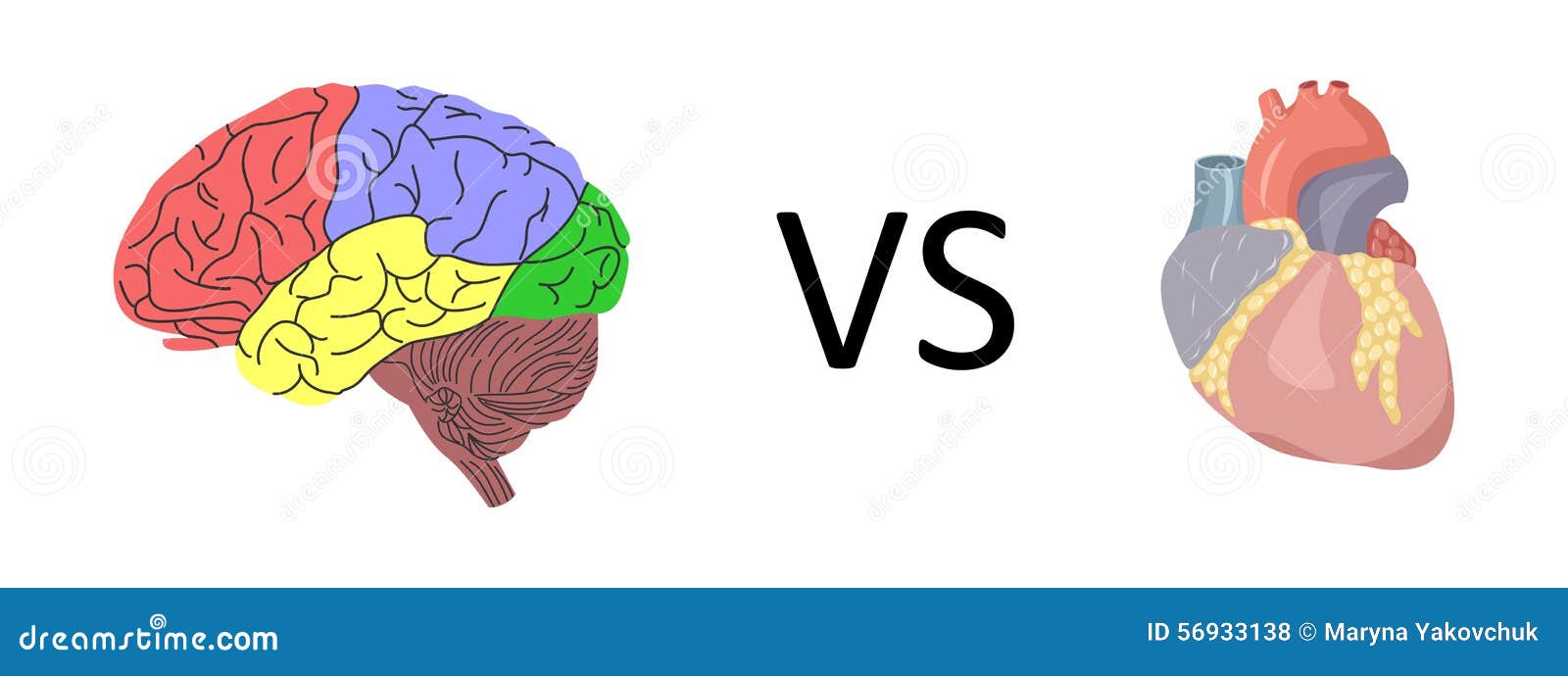Brain vs heart stock vector. Illustration of medication - 56933138