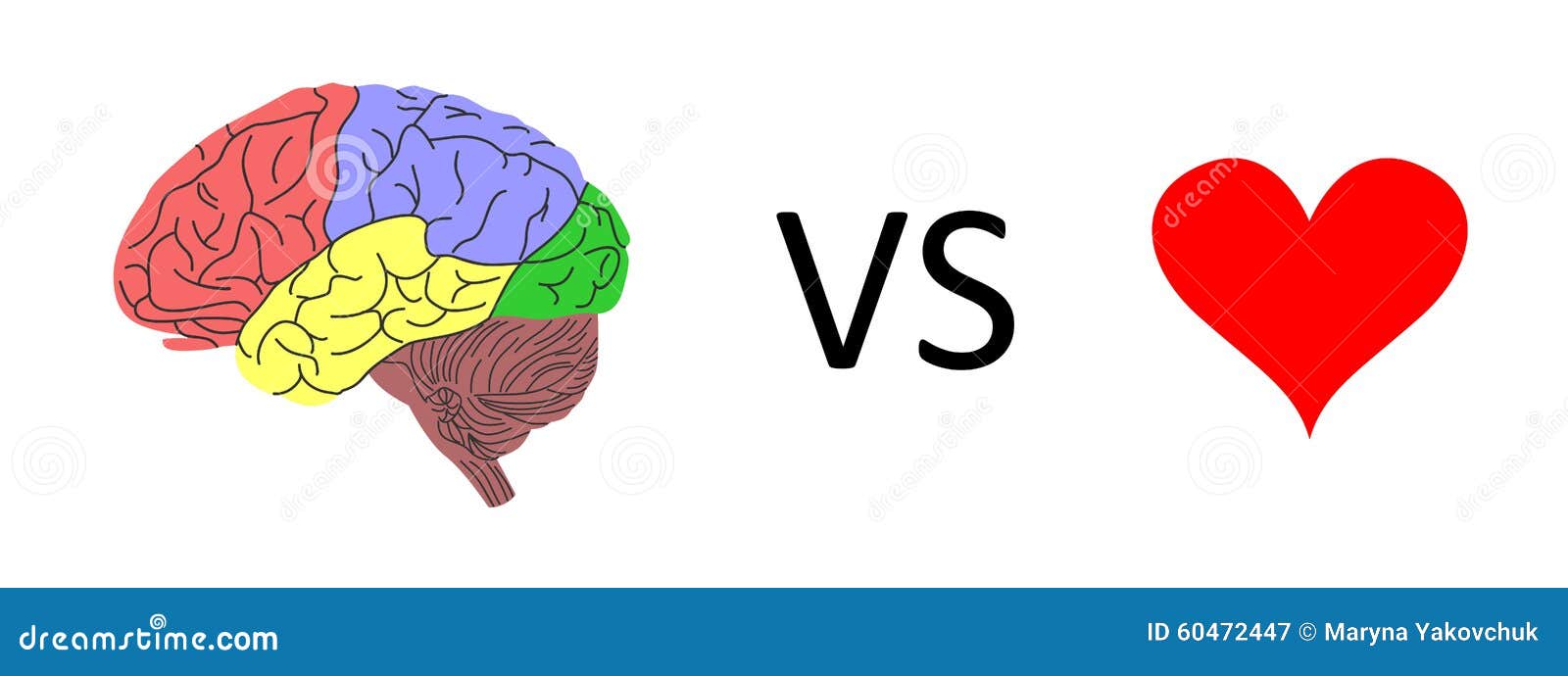 Brain vs heart stock vector. Illustration of disease - 60472447