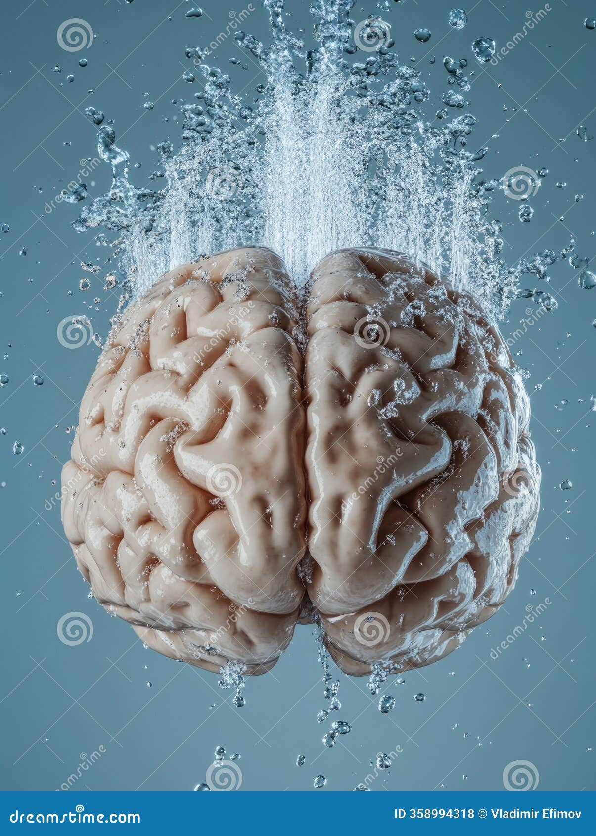 Brain with water drops stock photo. Image of educational - 358994318
