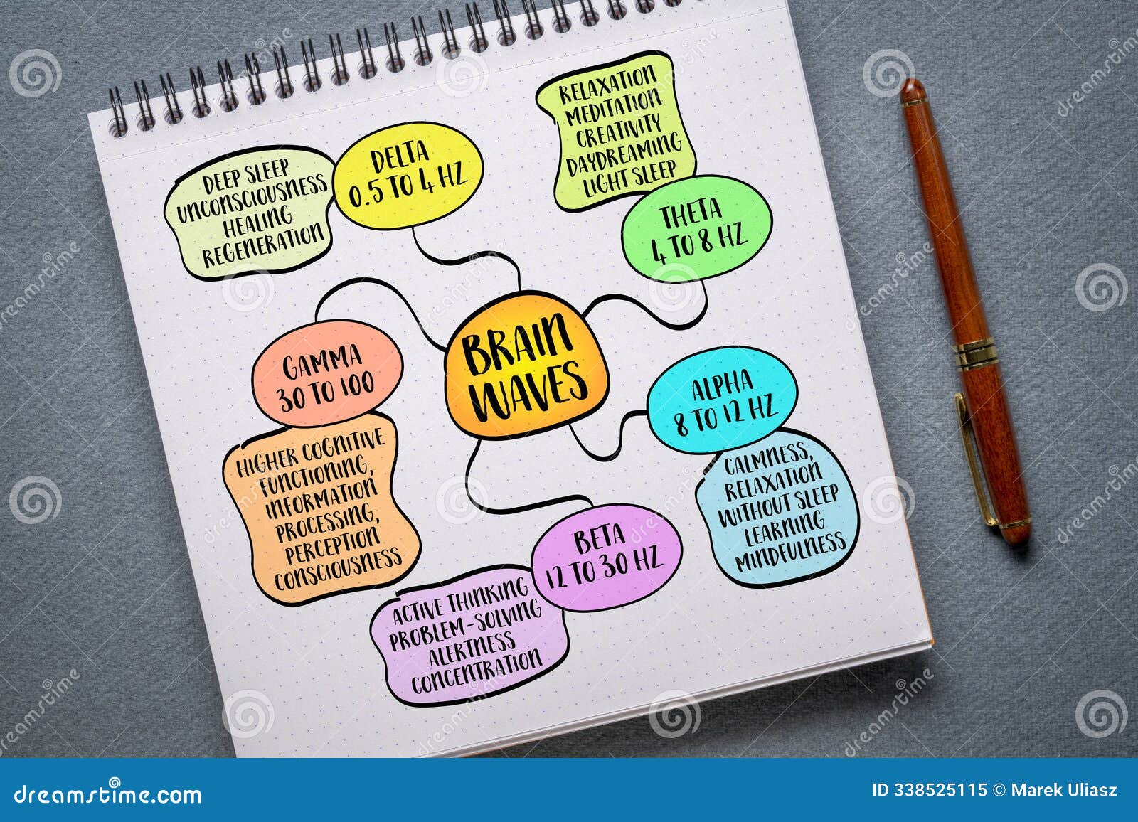 Brain Waves are Electrical Impulses in the Brain that Reflect Various ...