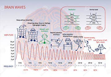 Brain waves stock illustration. Illustration of diagram - 89979241