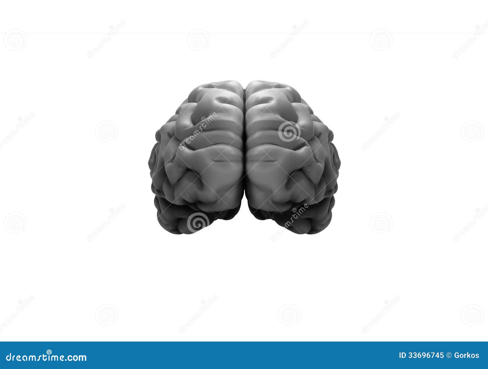 Gray Brain Fingerprint Silhouettes Vector Illustration | CartoonDealer ...