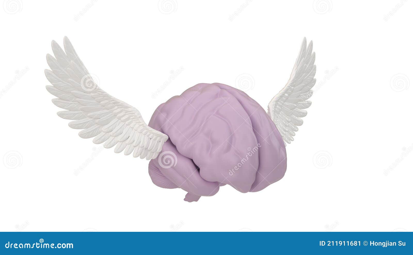 Brain with Wing Isolated on White Background, 3D Rendering. 3D ...