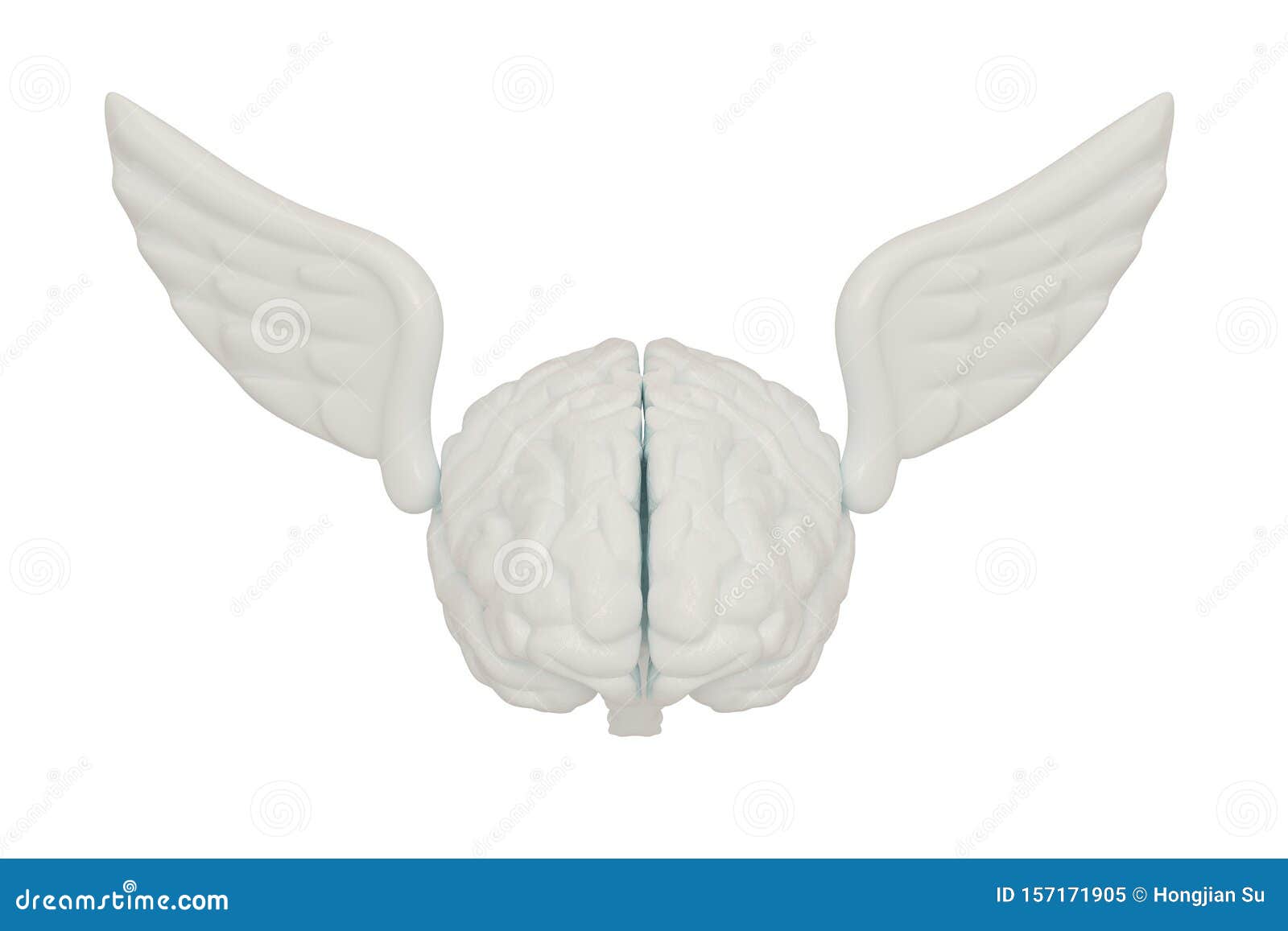 Brain with Wings Isolated on White Background, 3D Illustration Stock ...