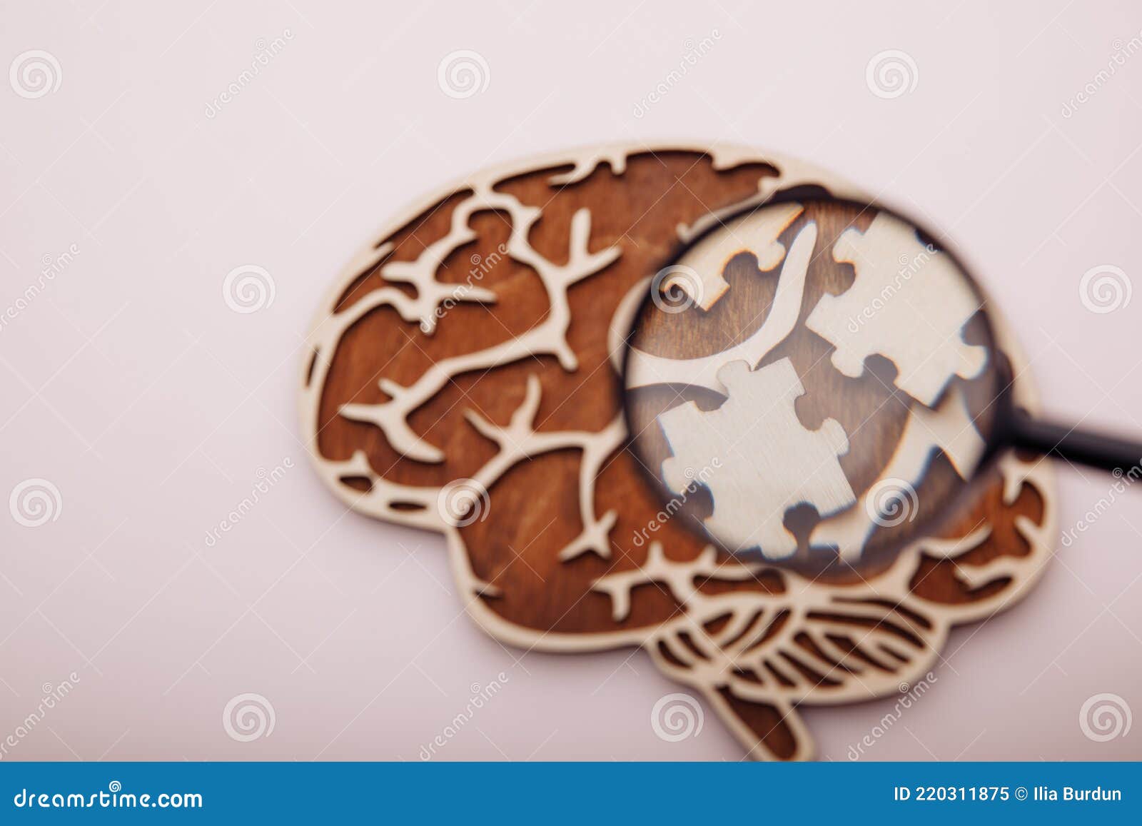 Brain with Wooden Puzzles. Mental Health and Problems with Memory ...