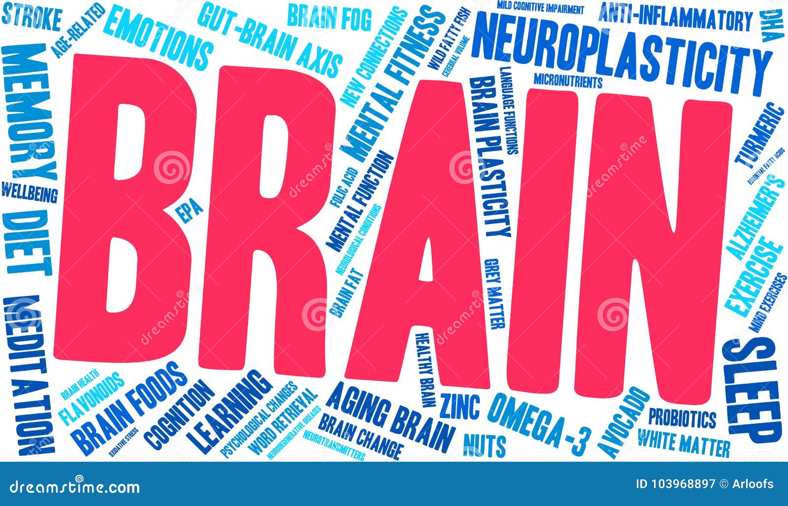 Brain Word Cloud ilustración del vector. Ilustración de ejercicio ...