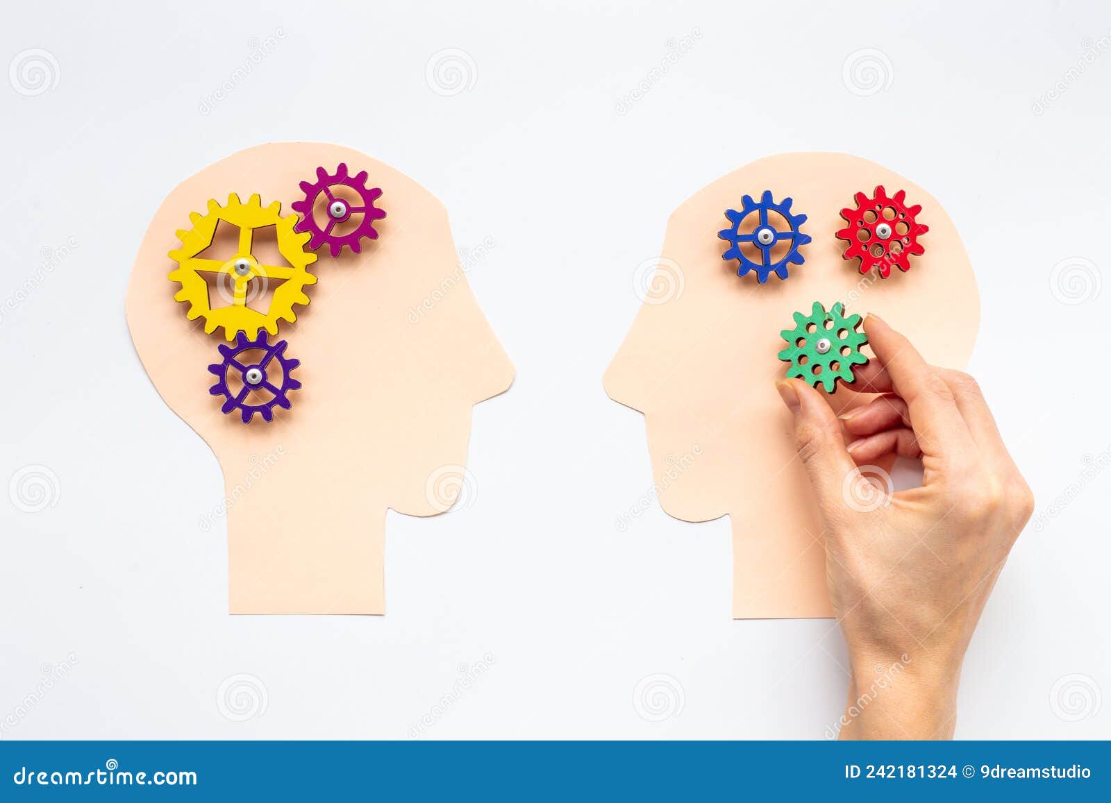 Brain Work - Gears on Two Paper Human Heads. Teamwork Concept Stock ...