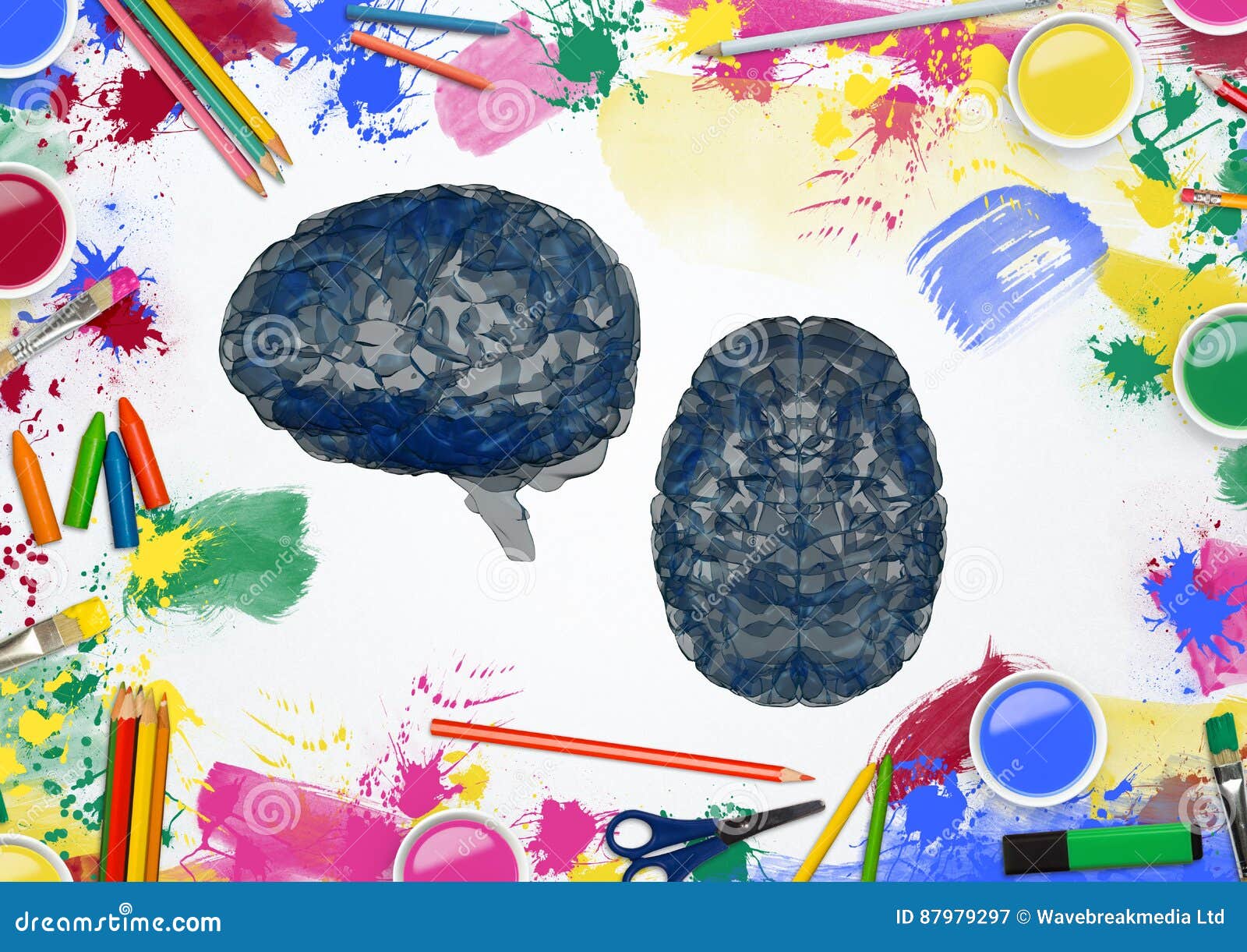 Brains with Various Watercolor and Pencils on White Background Stock ...