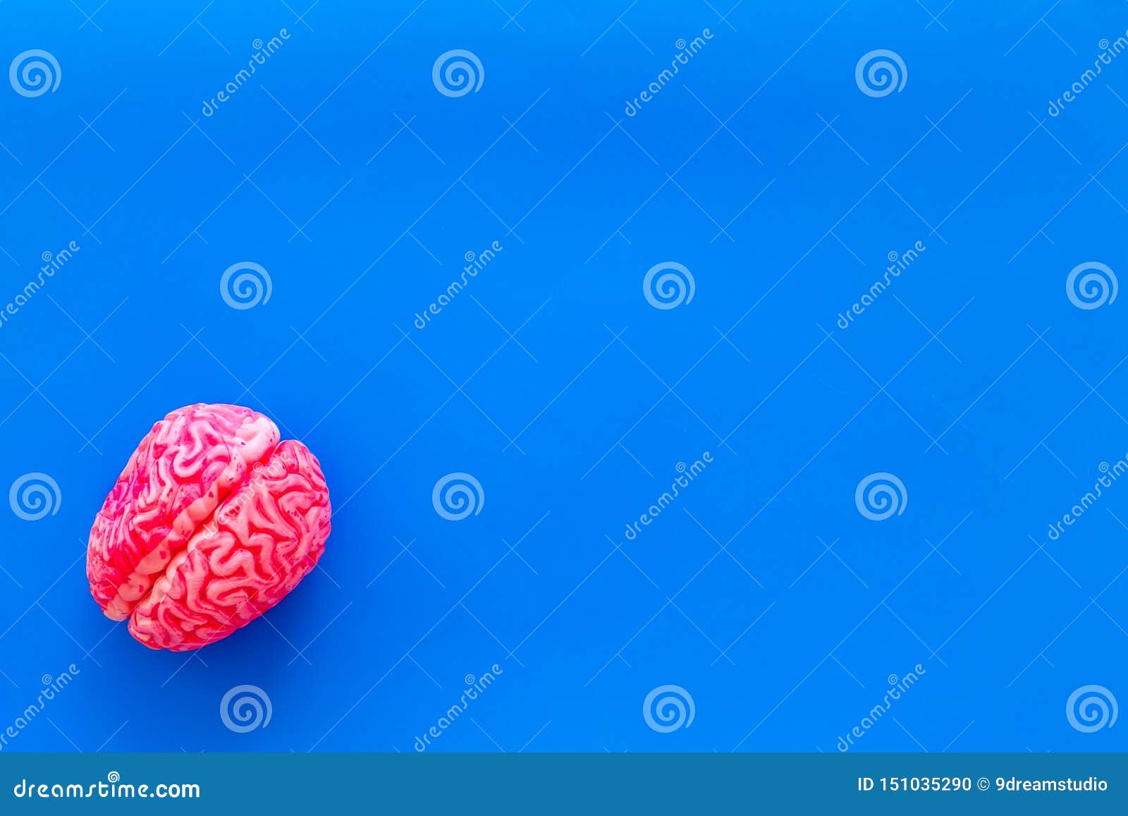 The Brain On A Blue Background Is Recharged From The Power Bank Royalty ...