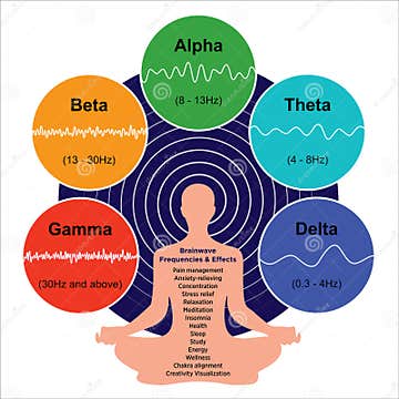 Brainwave Frequencies and Effects Stock Vector - Illustration of delta ...
