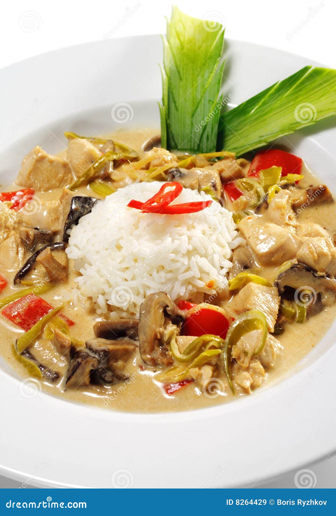 Braised Chicken Slice with Rice Heap Stock Image - Image of freshness ...