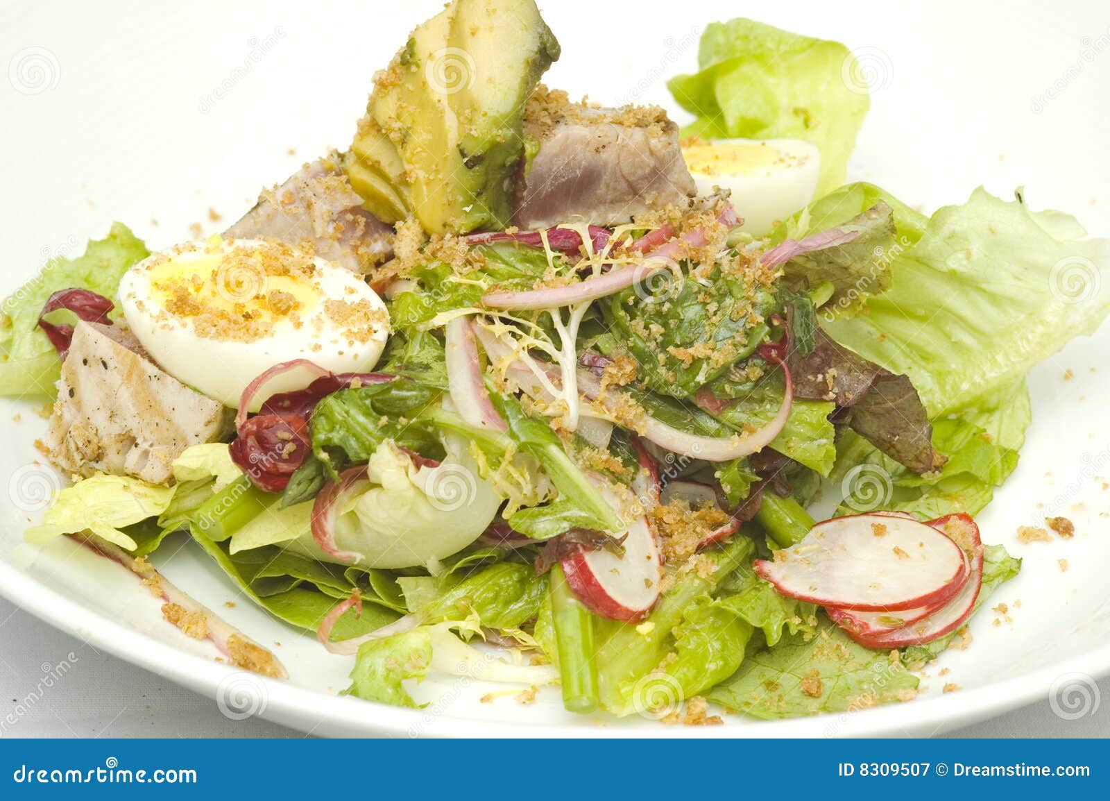 Braised Tuna on a a Bed of Lettuce Stock Image - Image of topped ...