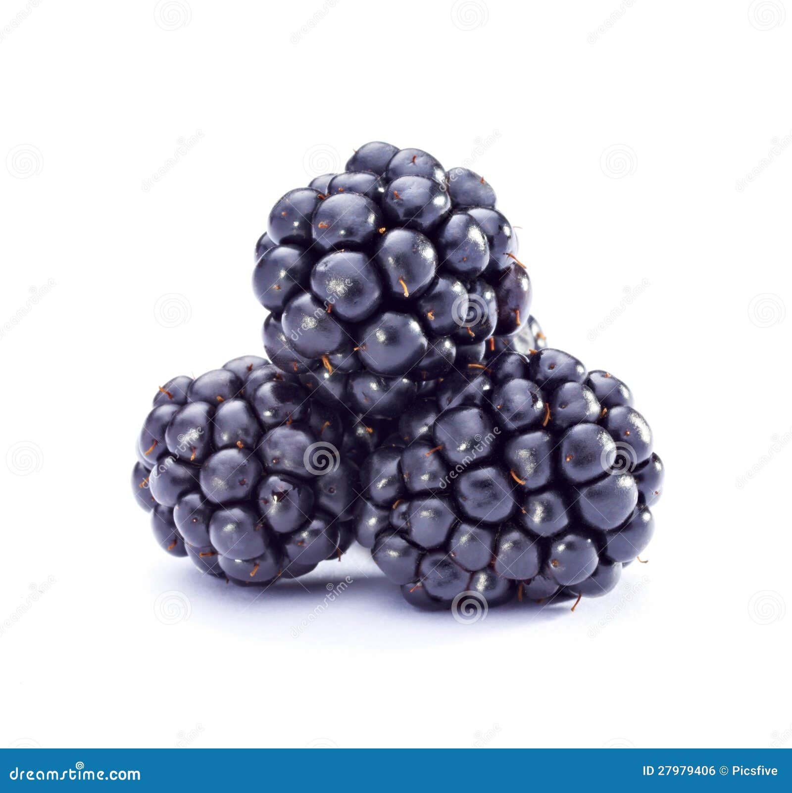 Bramble stock photo. Image of diet, fruit, leaves, dessert - 27979406