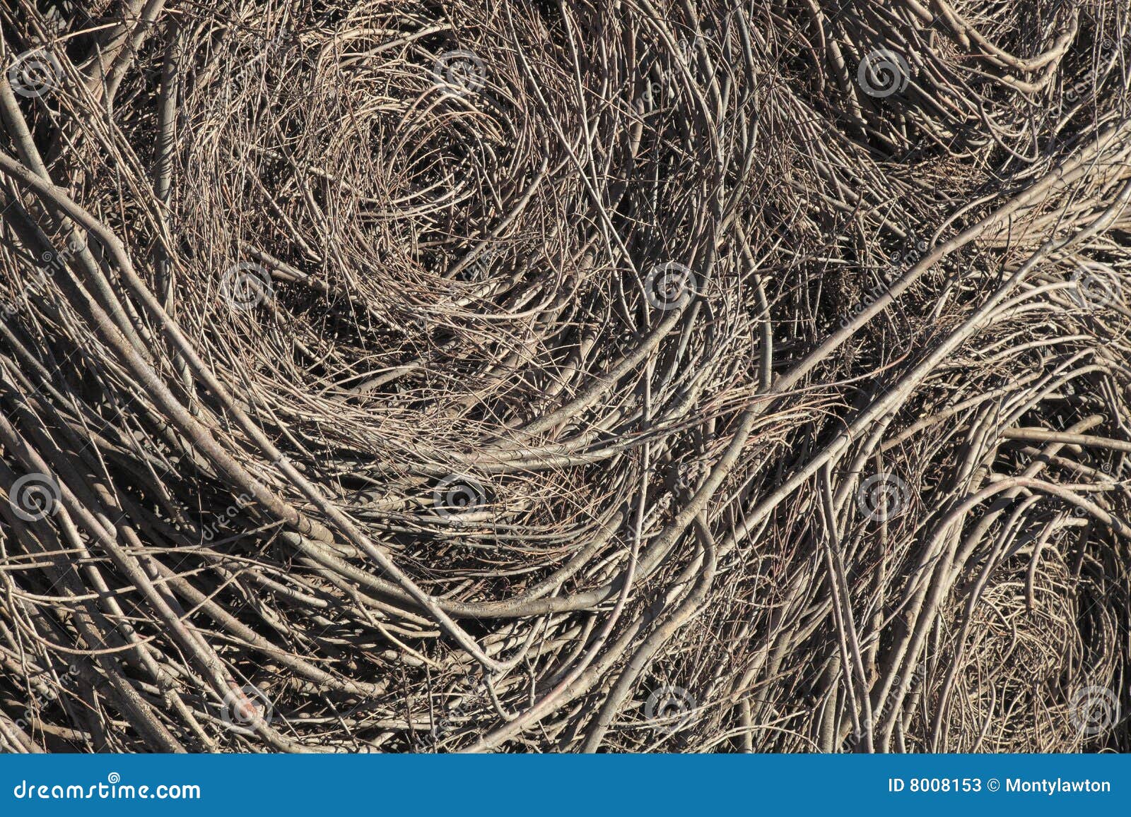 Bramble stock image. Image of thatch, woven, twigs, spiral - 8008153