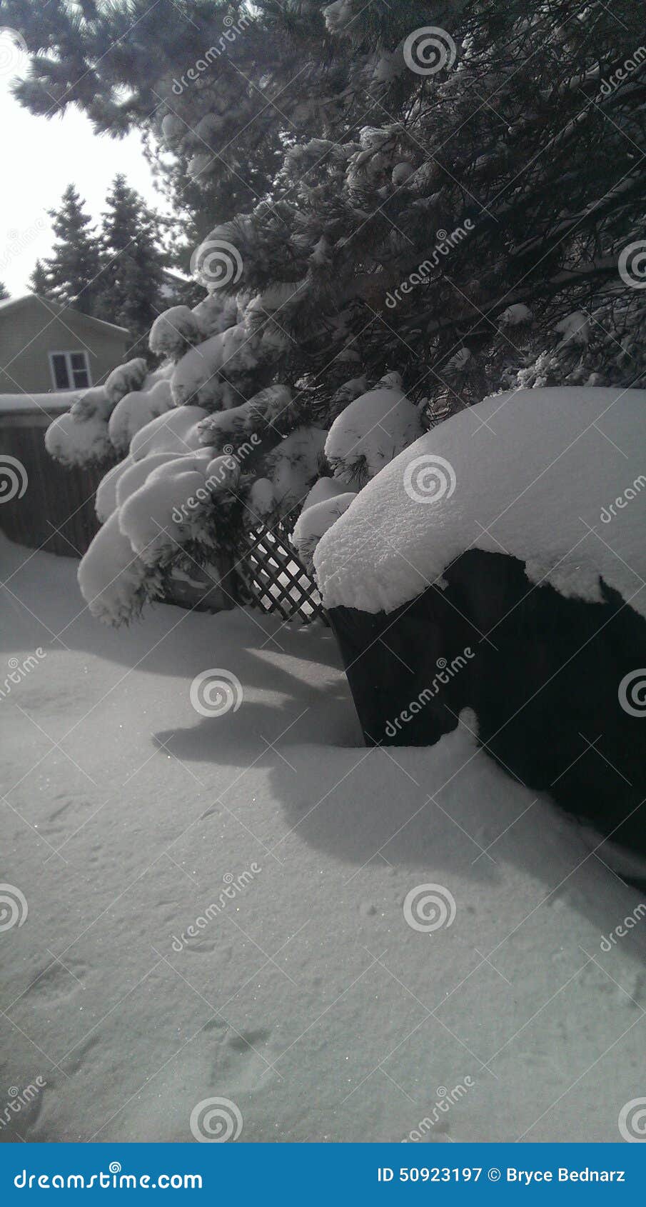 Brampton Ontario snow stock image. Image of ontario, deep - 50923197