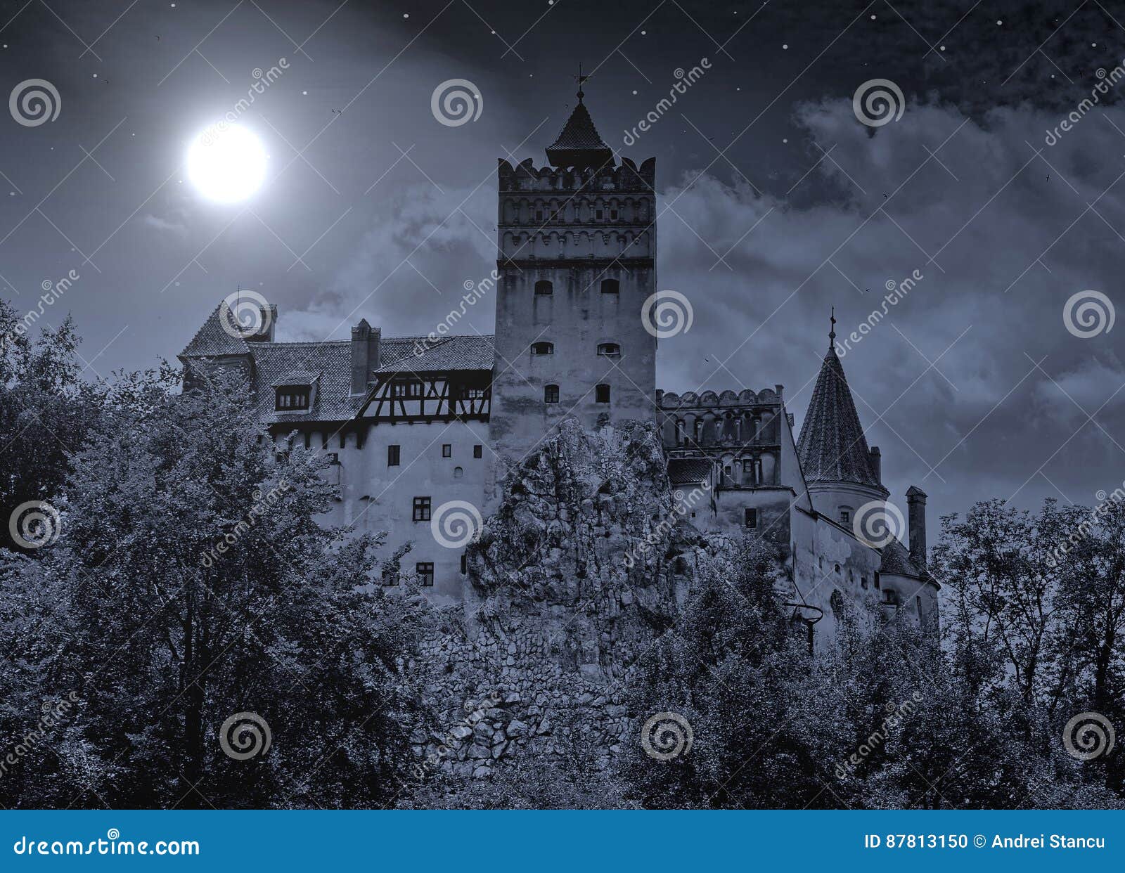 Bran Castle in Romania stock photo. Image of night, romania - 87813150