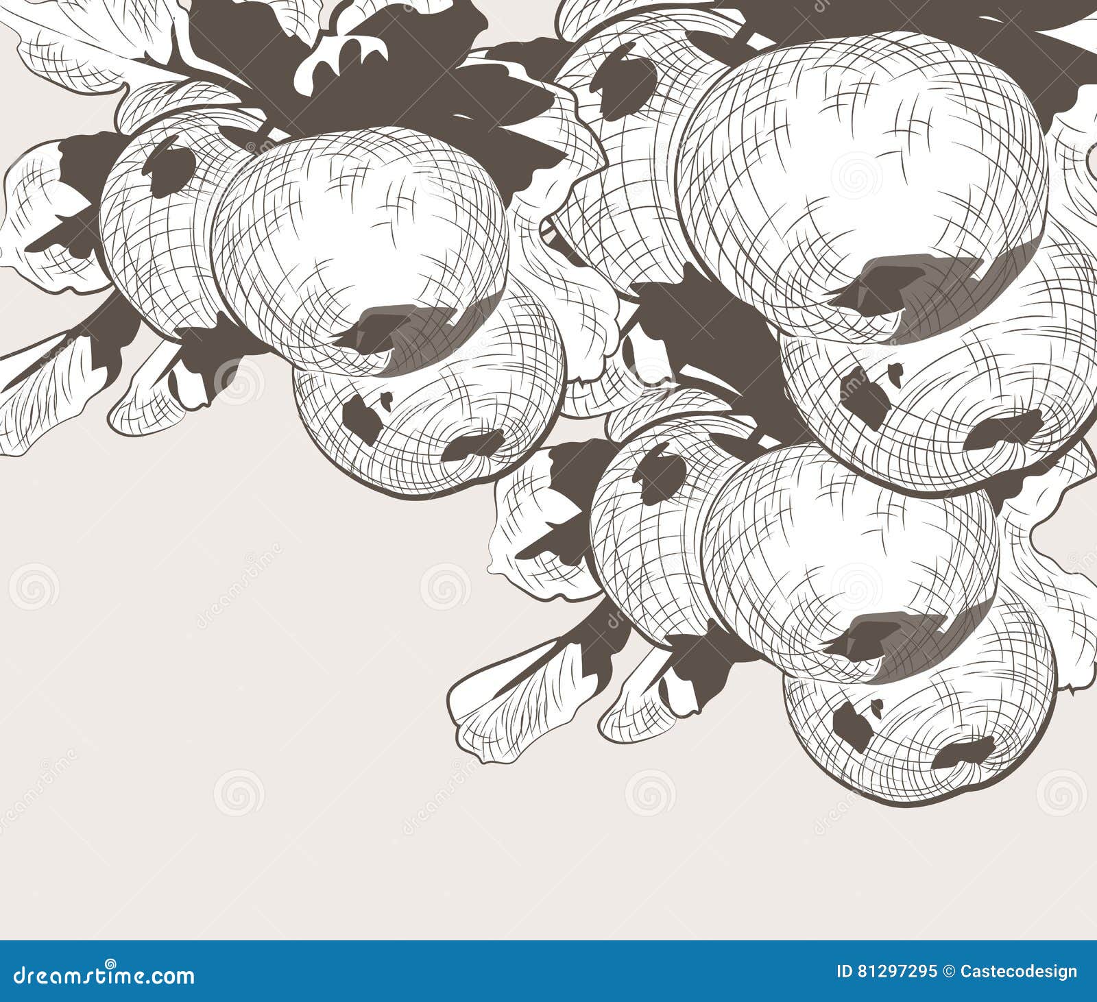 Branch Of Apple Tree With Leaves And Fruit Cartoon Vector ...