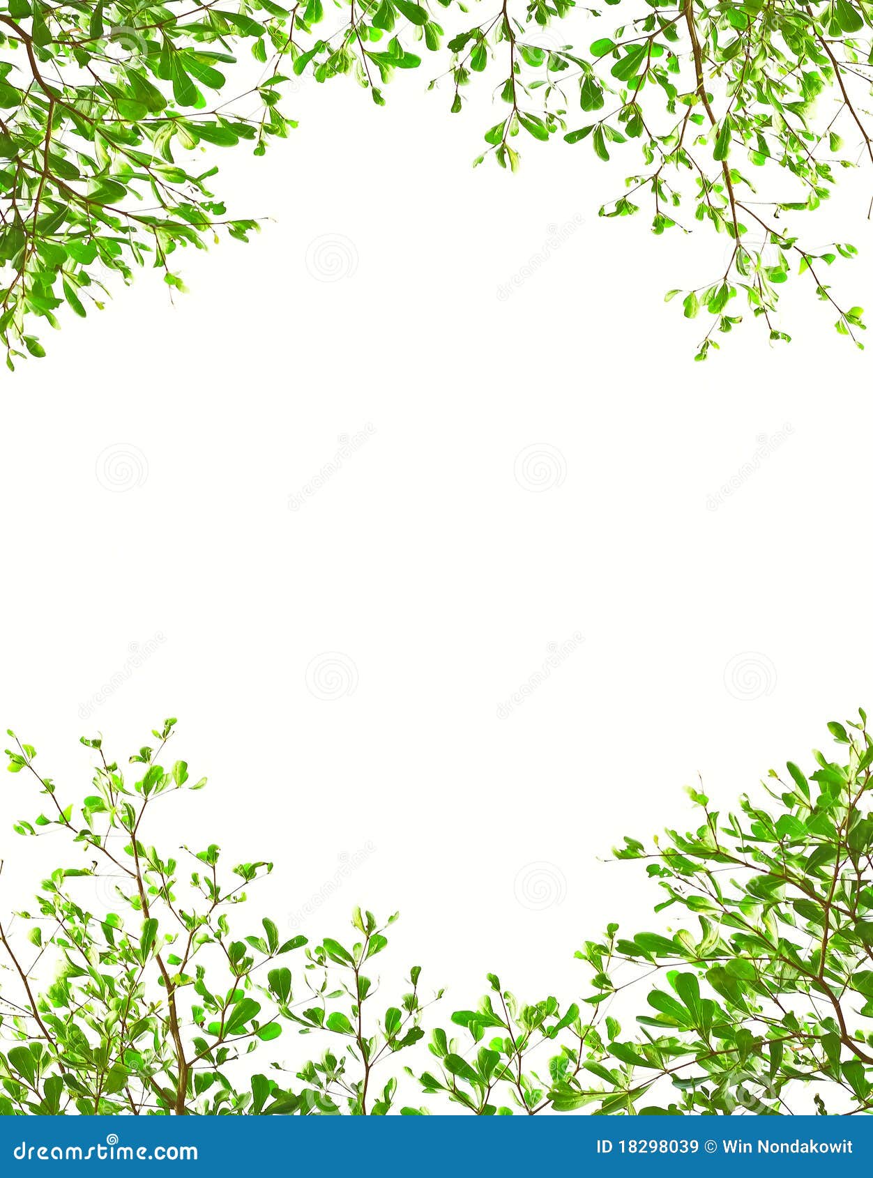 Branch background stock image. Image of outdoor, park - 18298039