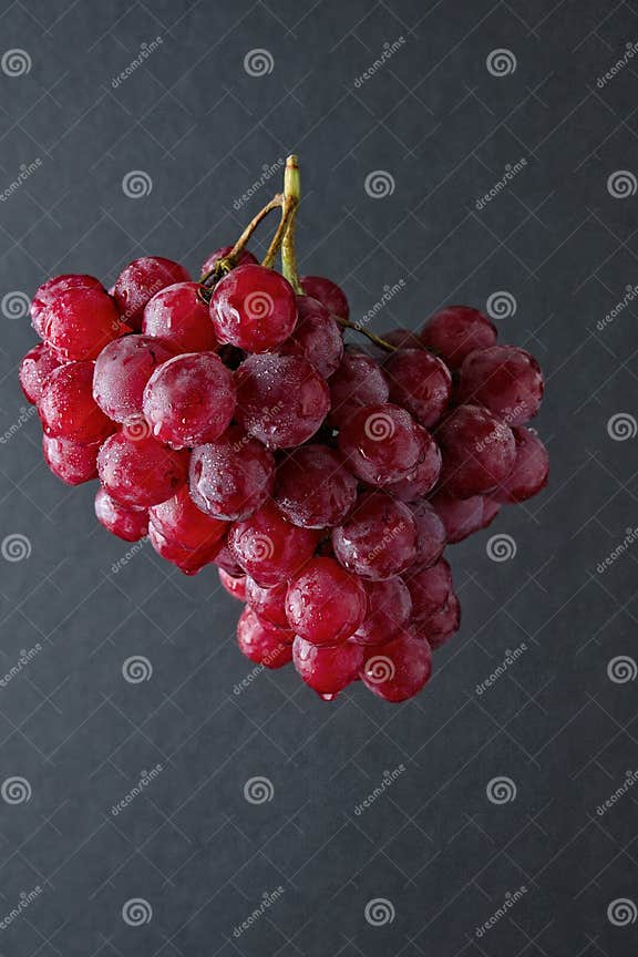 Branch of big red grape stock photo. Image of fresh - 191838486