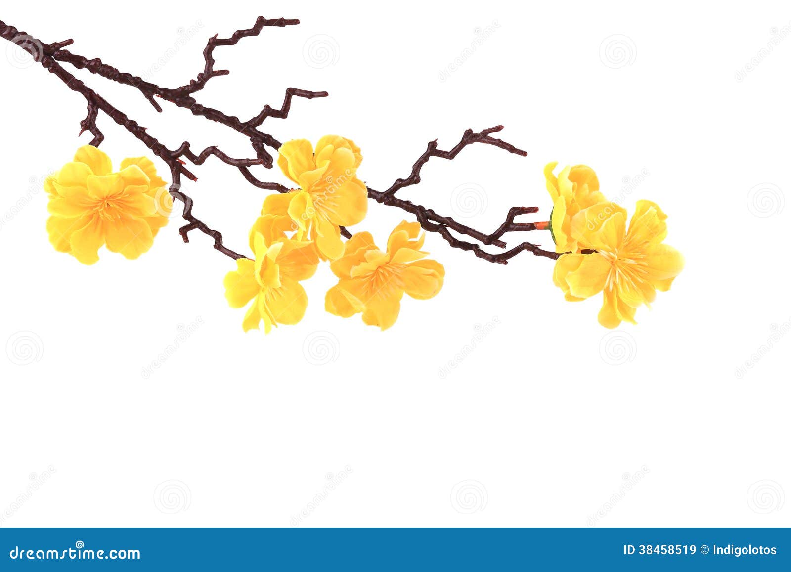 Branch of Blooming Yellow Flowers. Stock Image - Image of flower ...