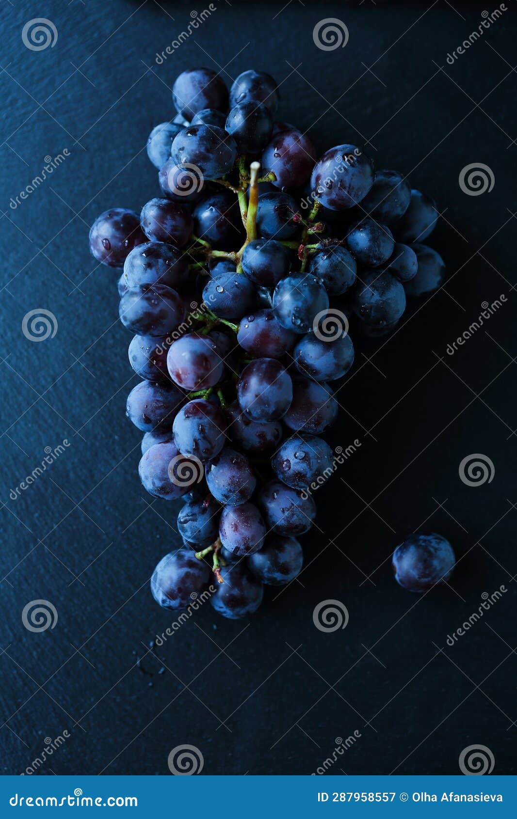 Branch of Blue Grapes on Slate Top View Stock Image - Image of bunch ...
