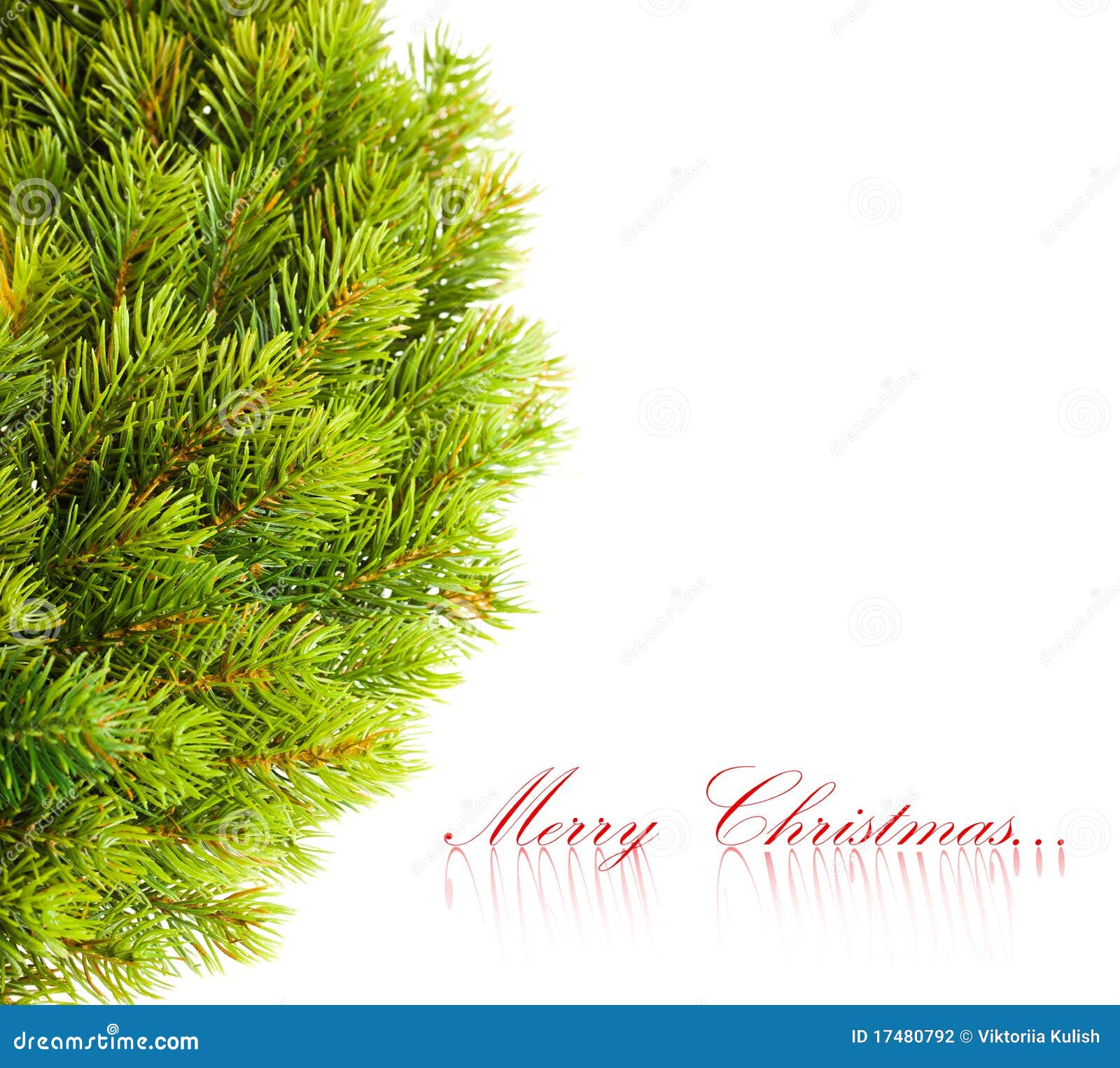 Branch of Christmas tree stock photo. Image of design - 17480792