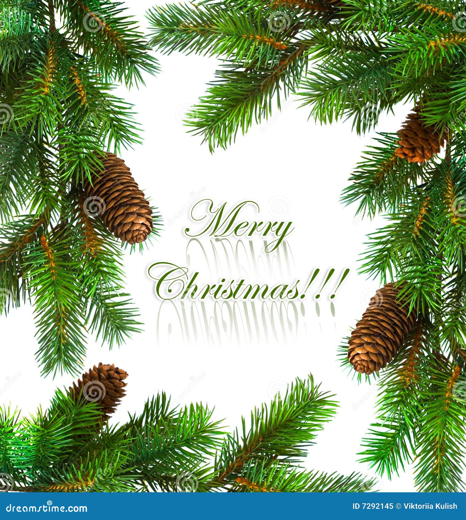 Branch of Christmas tree stock image. Image of decorative - 7292145