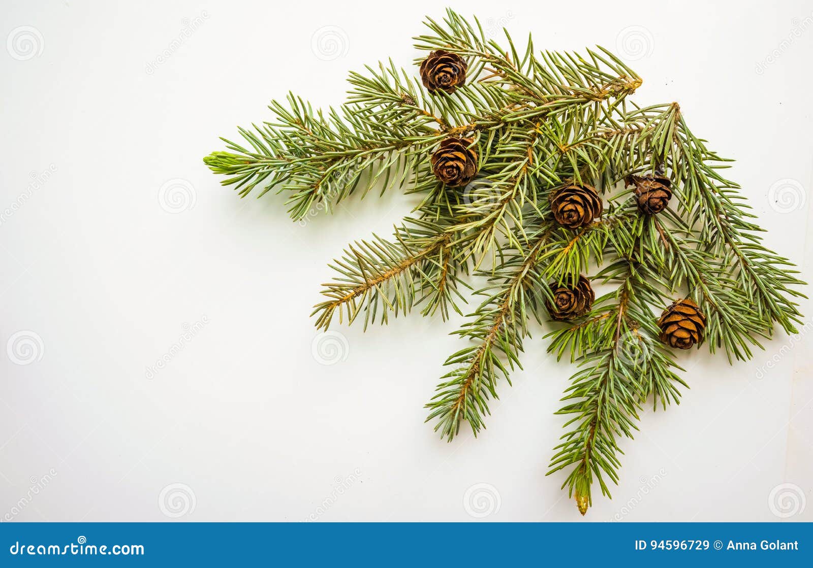 Fur Tree Branch Cones Stock Illustrations – 136 Fur Tree Branch Cones ...