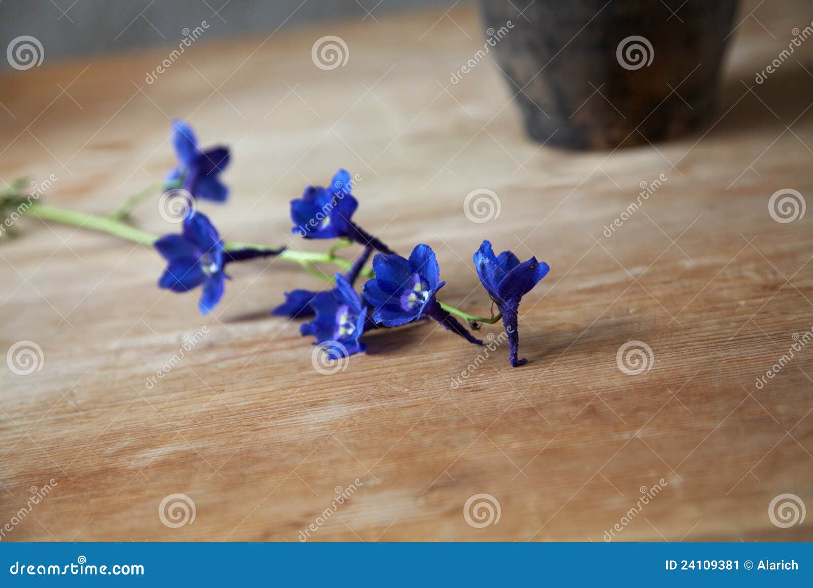 Branch of Dark Blue Flowers on a Wooden Table Stock Image - Image of ...
