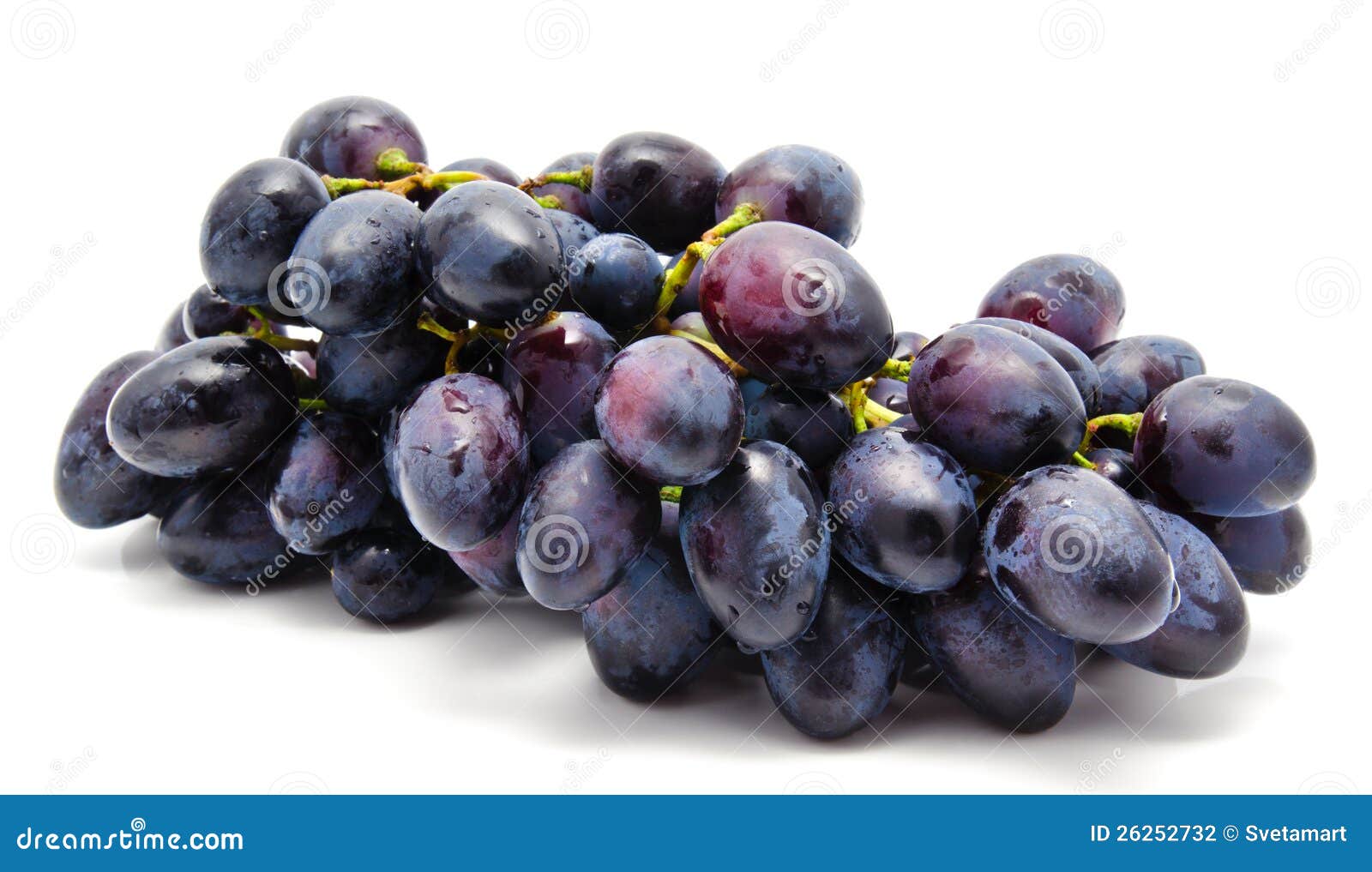 Branch of Dark Red Grape Isolated Stock Photo - Image of healthy ...
