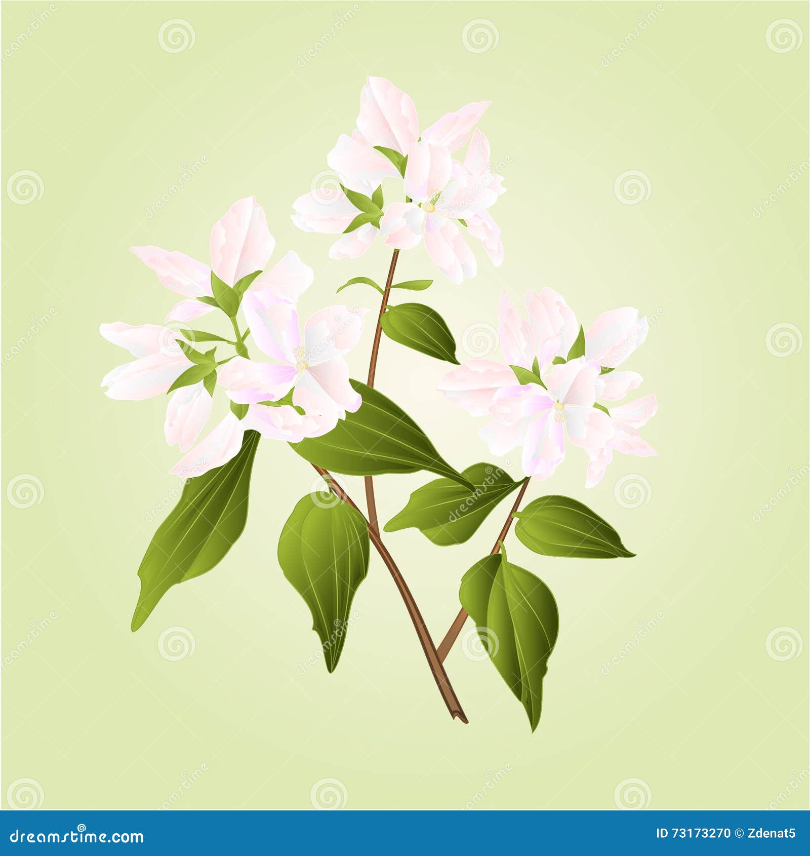 Branch Decorative Shrub Vector Stock Vector - Illustration of natural ...