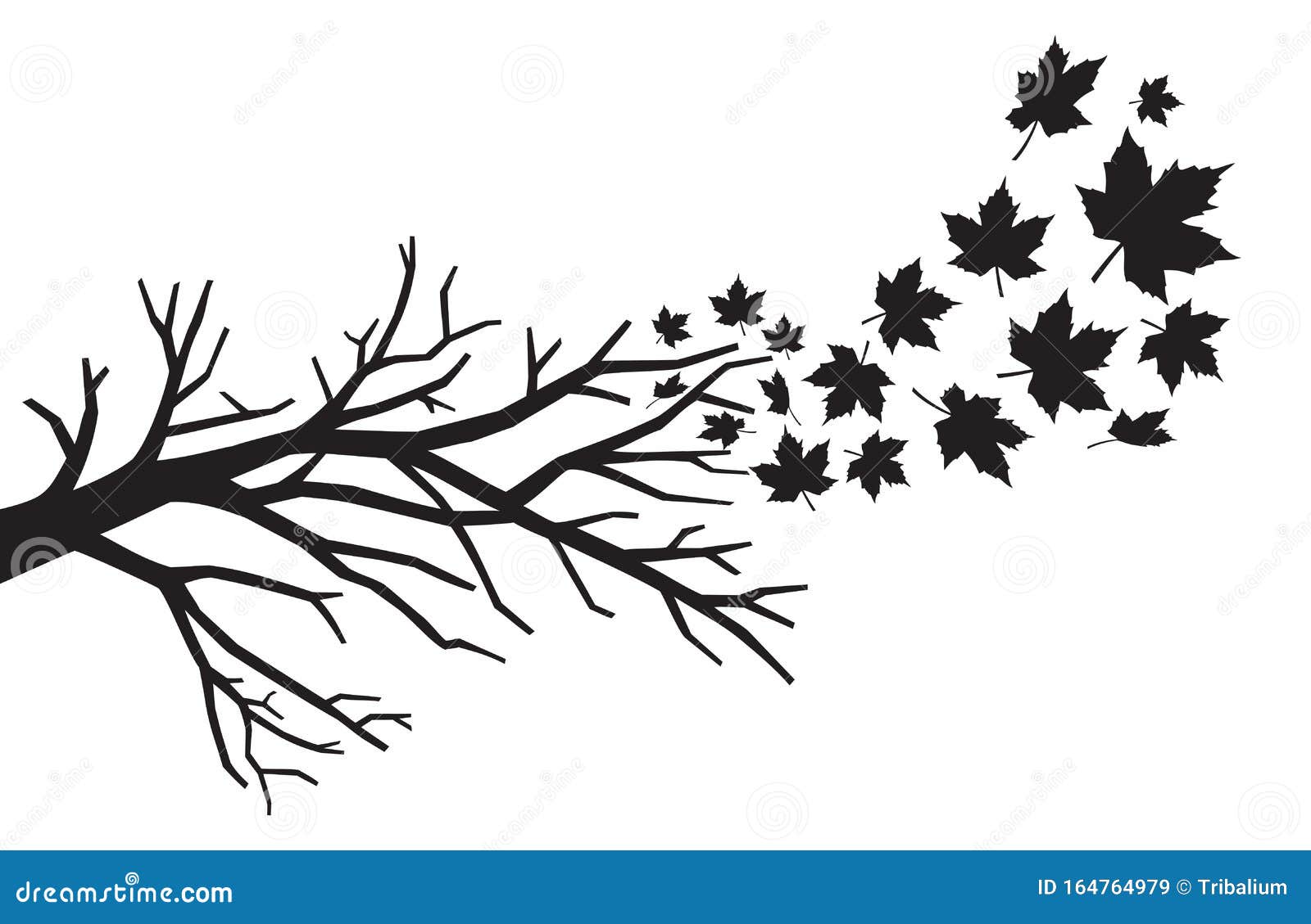 Branch with falling leaves stock vector. Illustration of leave - 164764979