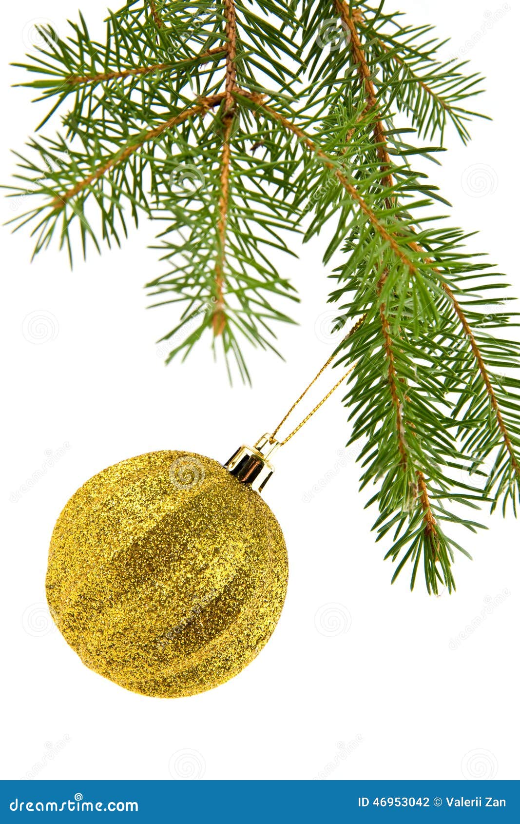 Branch of fir-tree stock photo. Image of adorn, conifer - 46953042