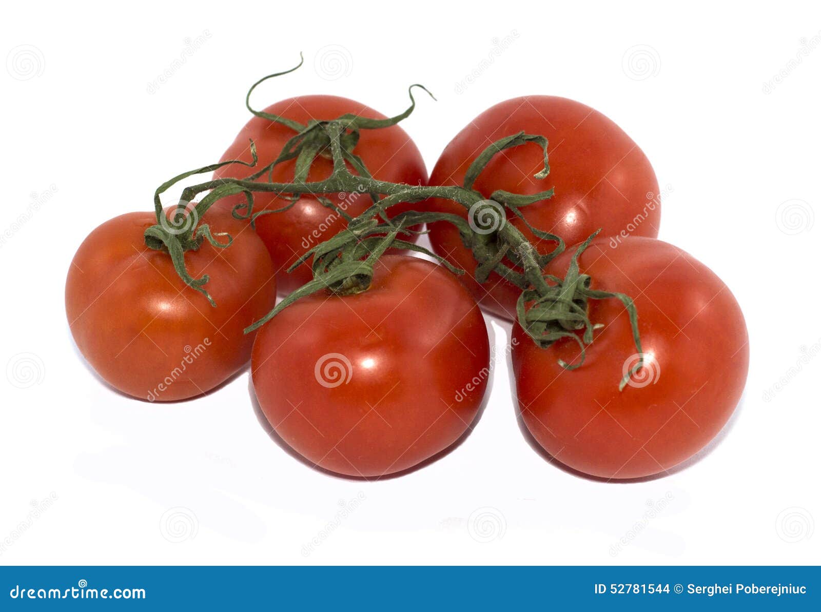 Branch from Five Red Tomatoes Stock Photo - Image of branch, home: 52781544