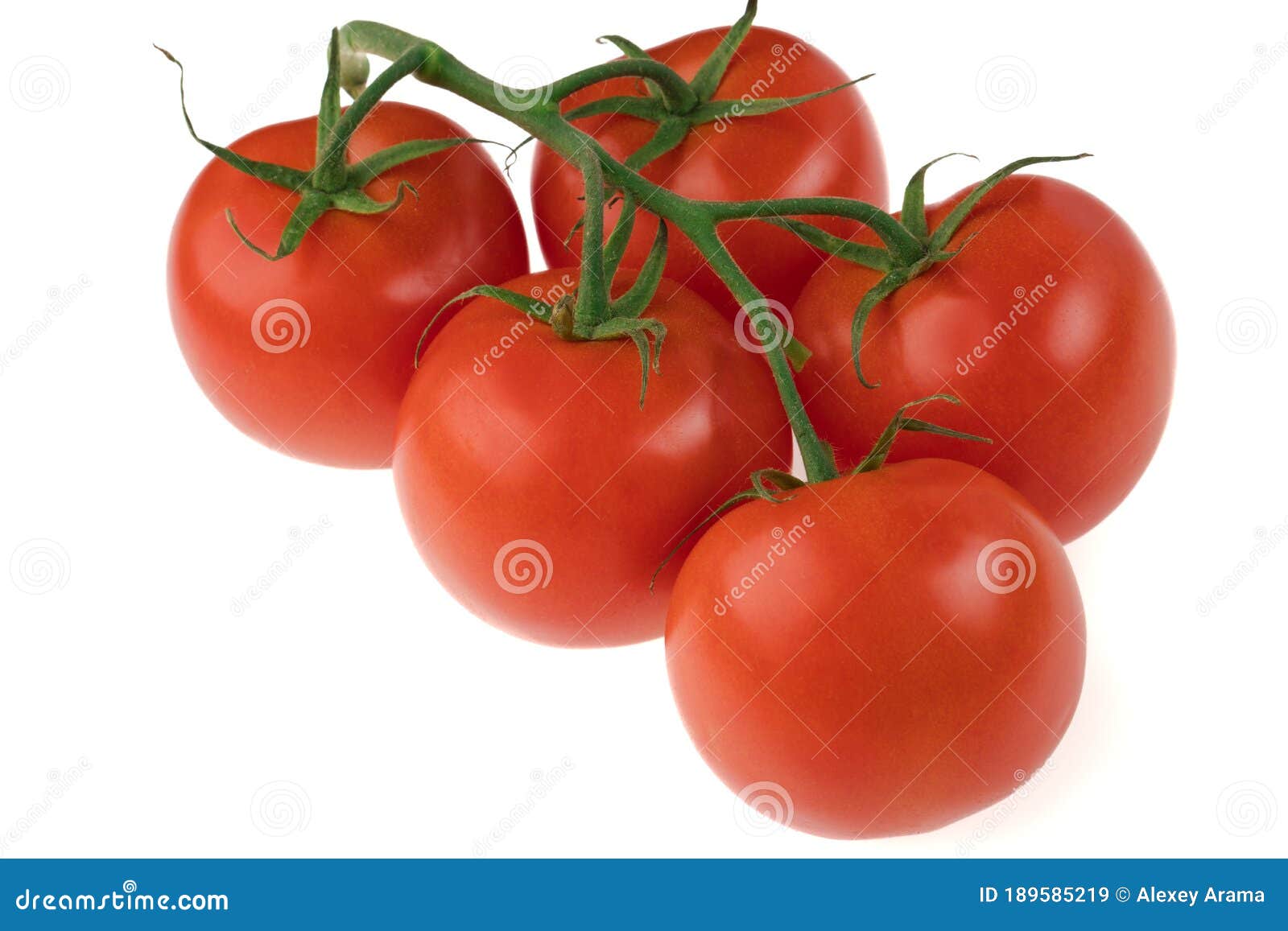 Branch with Five Red Tomatoes on a White Background in Isolation Stock ...