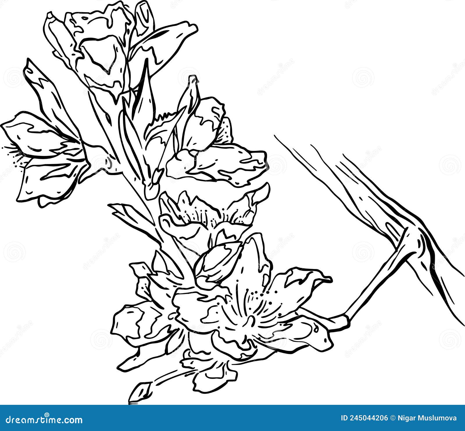 Branch, Flowers, Hand Draw Vector Illustration Art Stock Vector ...
