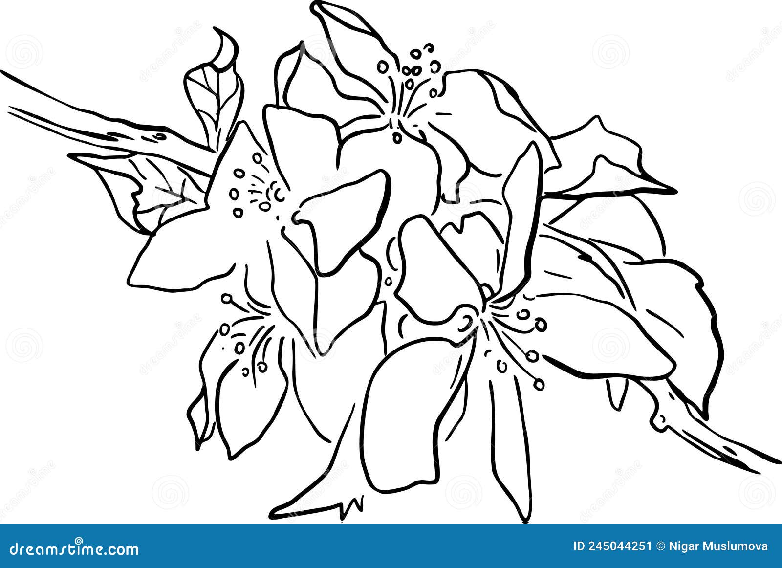 Branch, Flowers, Hand Draw Vector Illustration Art Stock Vector ...