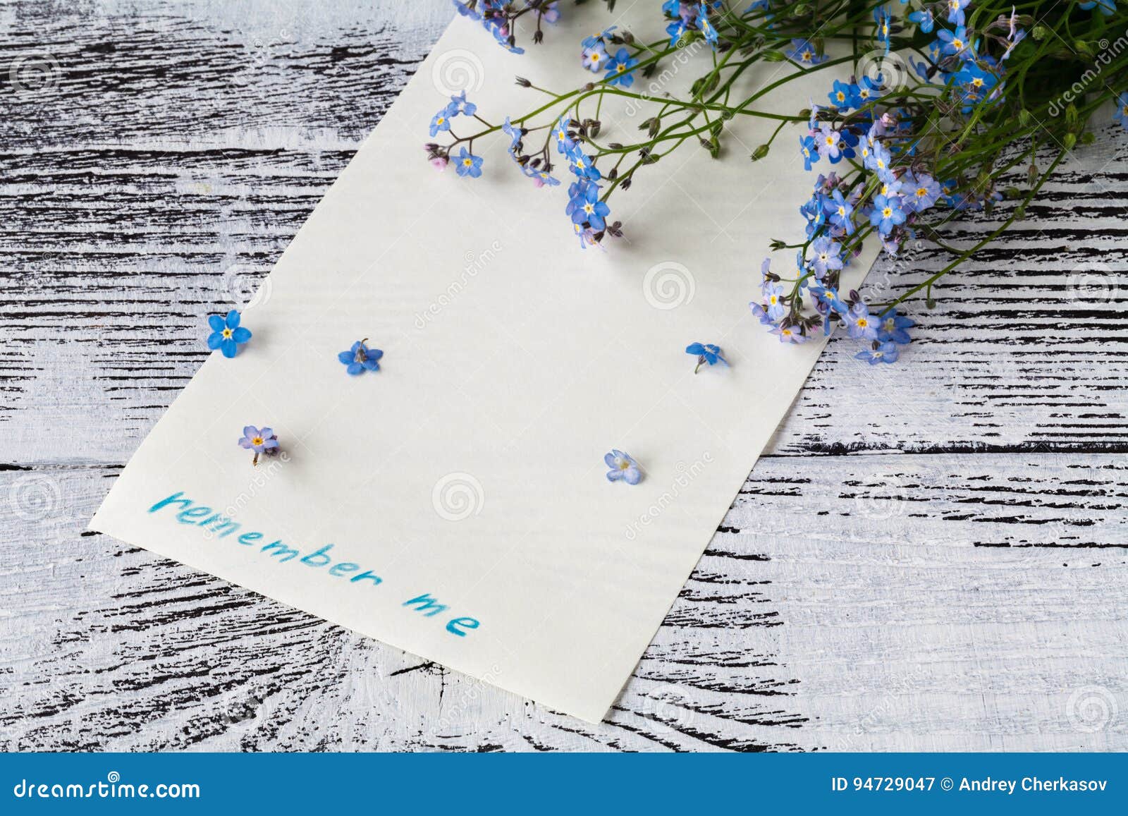 Branch of Forget-me-nots on Paper with Phrase Remember Me Stock Image ...