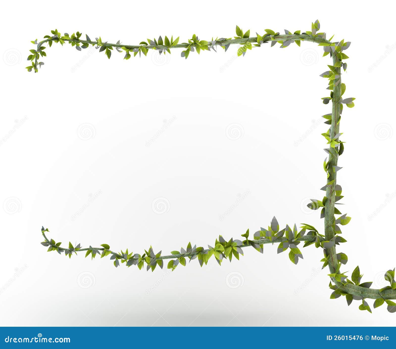 Branch frame stock illustration. Illustration of foliage - 26015476