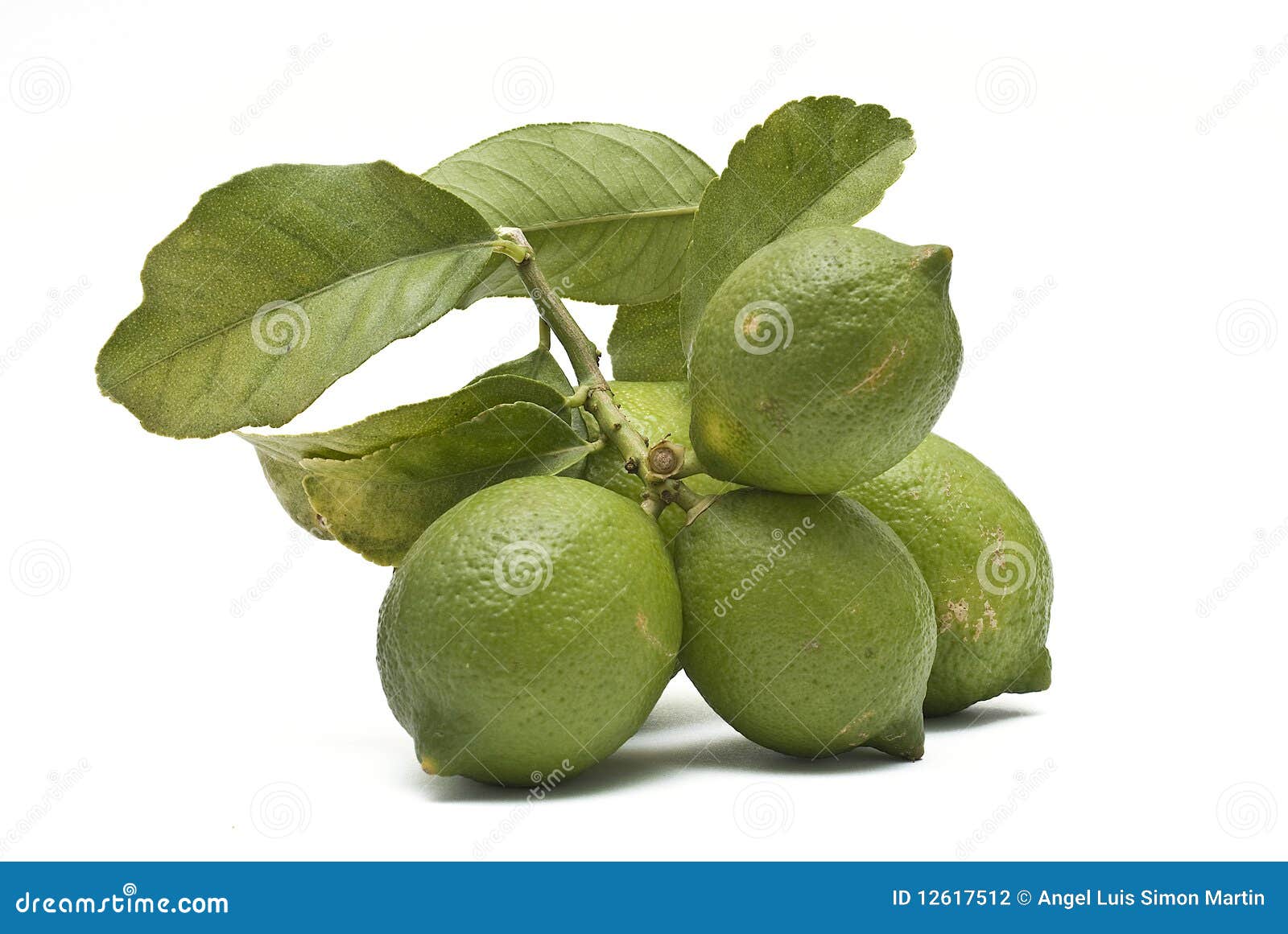 A branch full of lemons. stock photo. Image of greengrocers - 12617512
