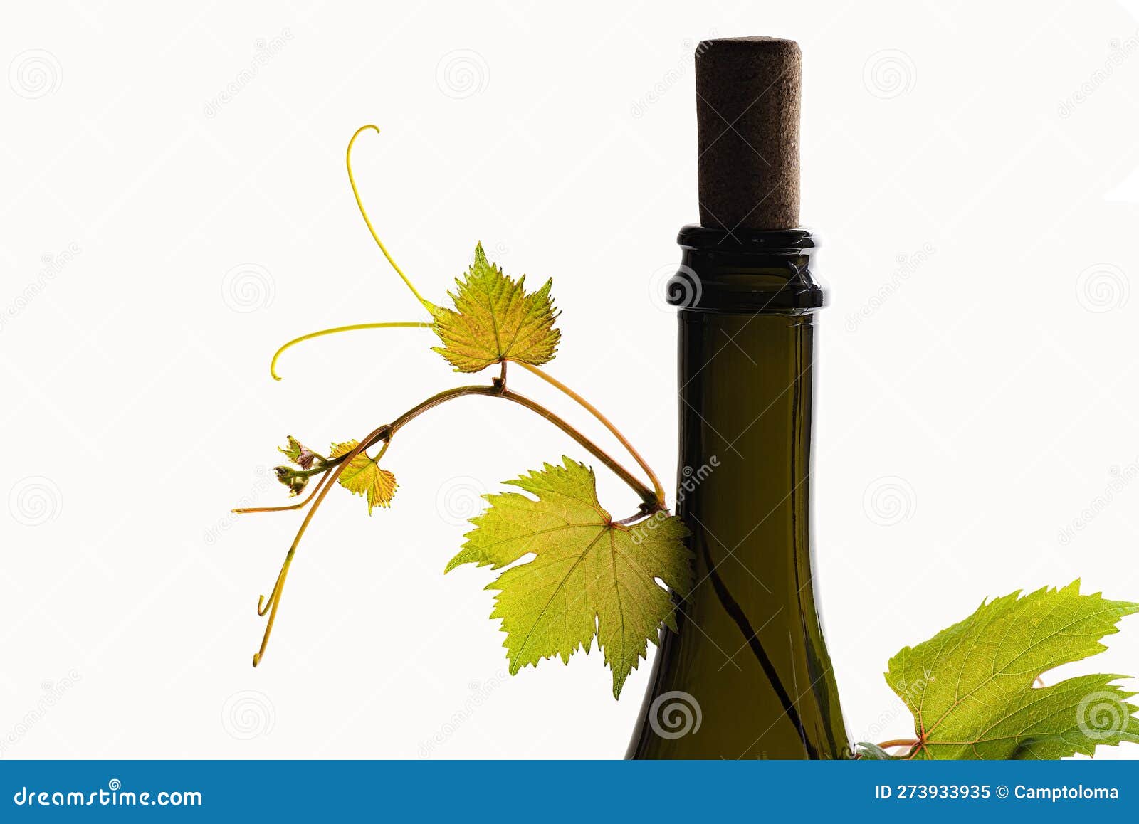 Corc Texture Royalty-Free Stock Photo | CartoonDealer.com #32076885