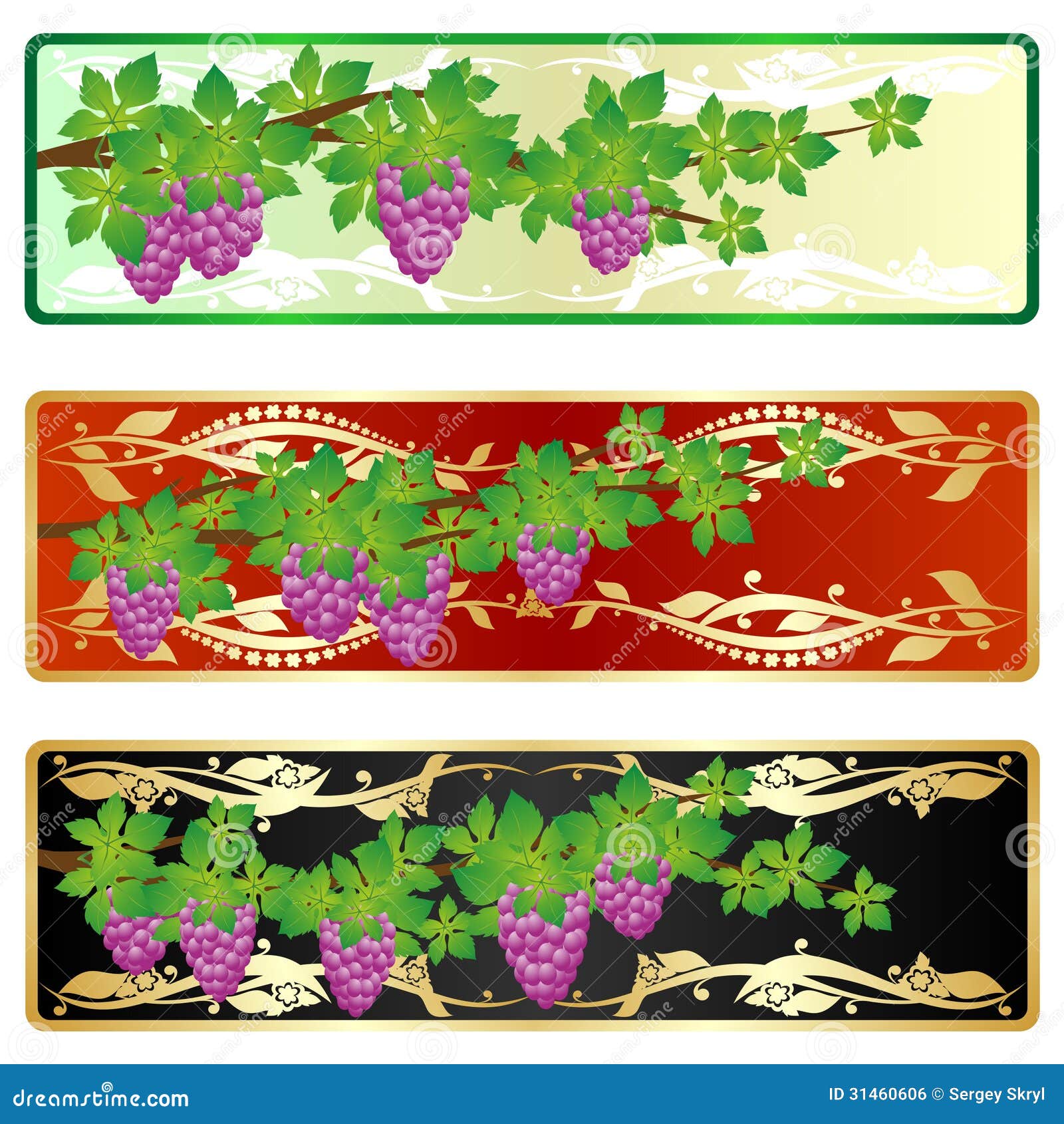 The branch of grapes stock vector. Illustration of branch - 31460606