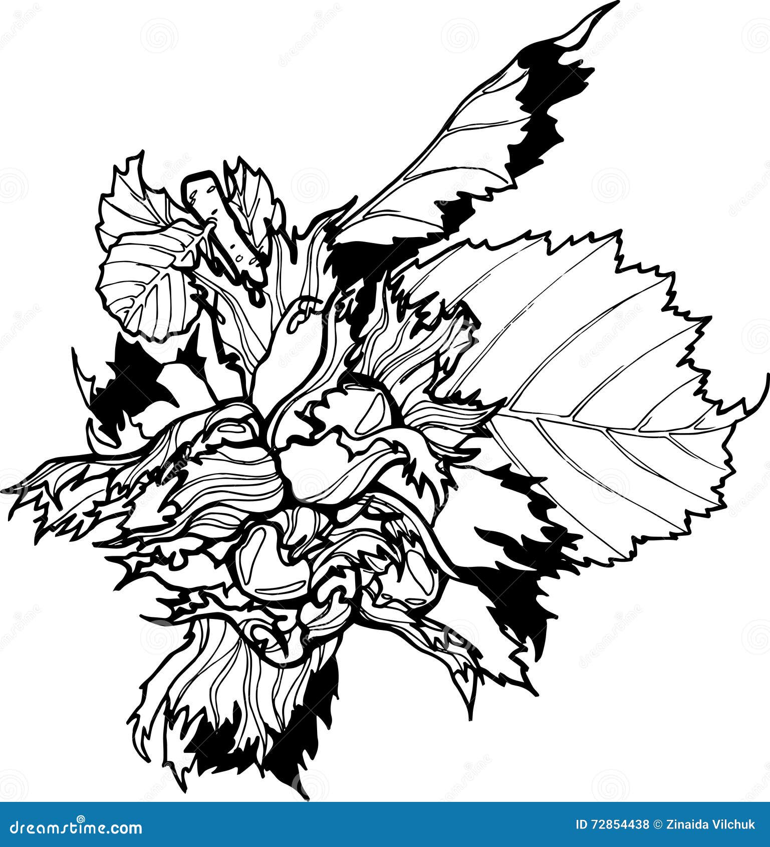 Branch Of Hazelnut Stock Vector - Image: 72854438