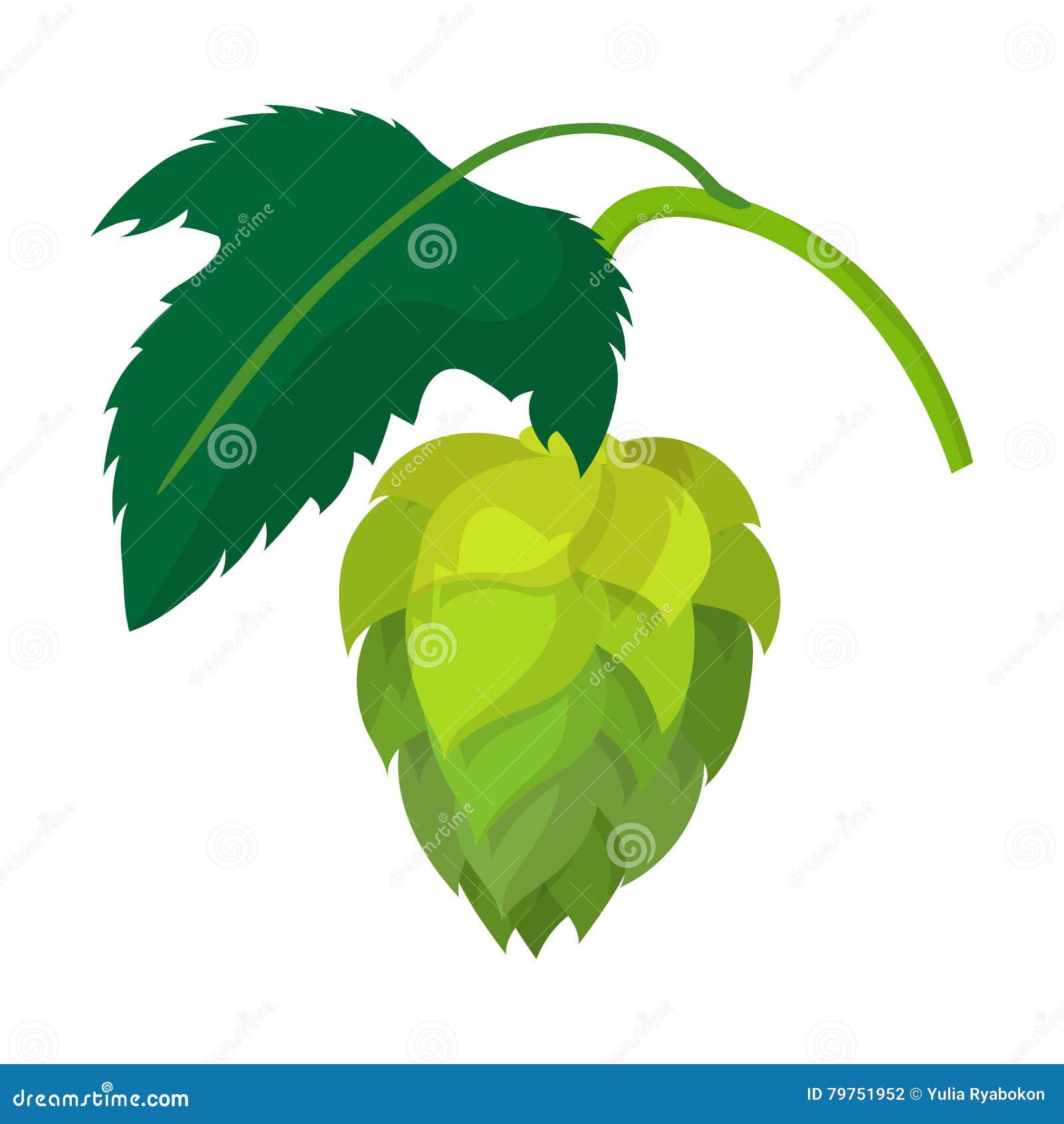 Branch of Hops Cartoon Icon Stock Vector - Illustration of herbal ...
