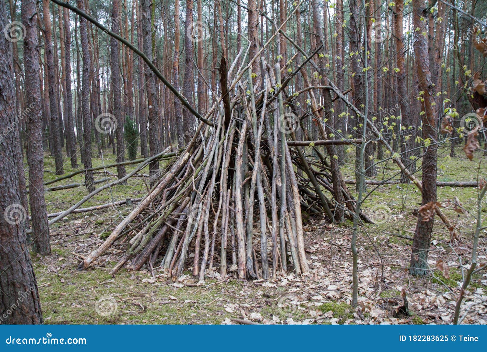 Branch hut stock image. Image of outdoor, cabin, dwelling - 182283625