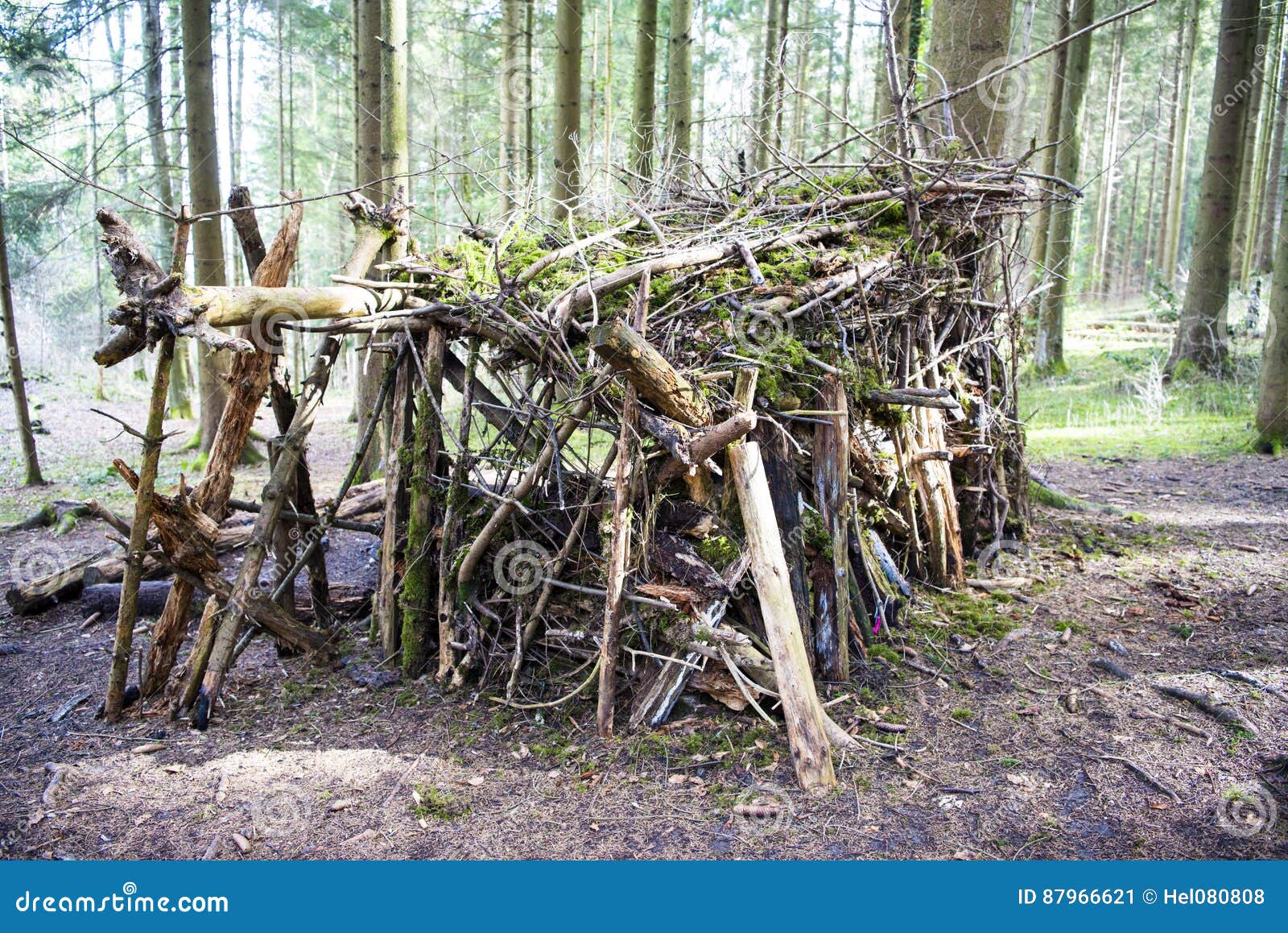 Branch hut in forest stock image. Image of shelter, outdoors - 87966621